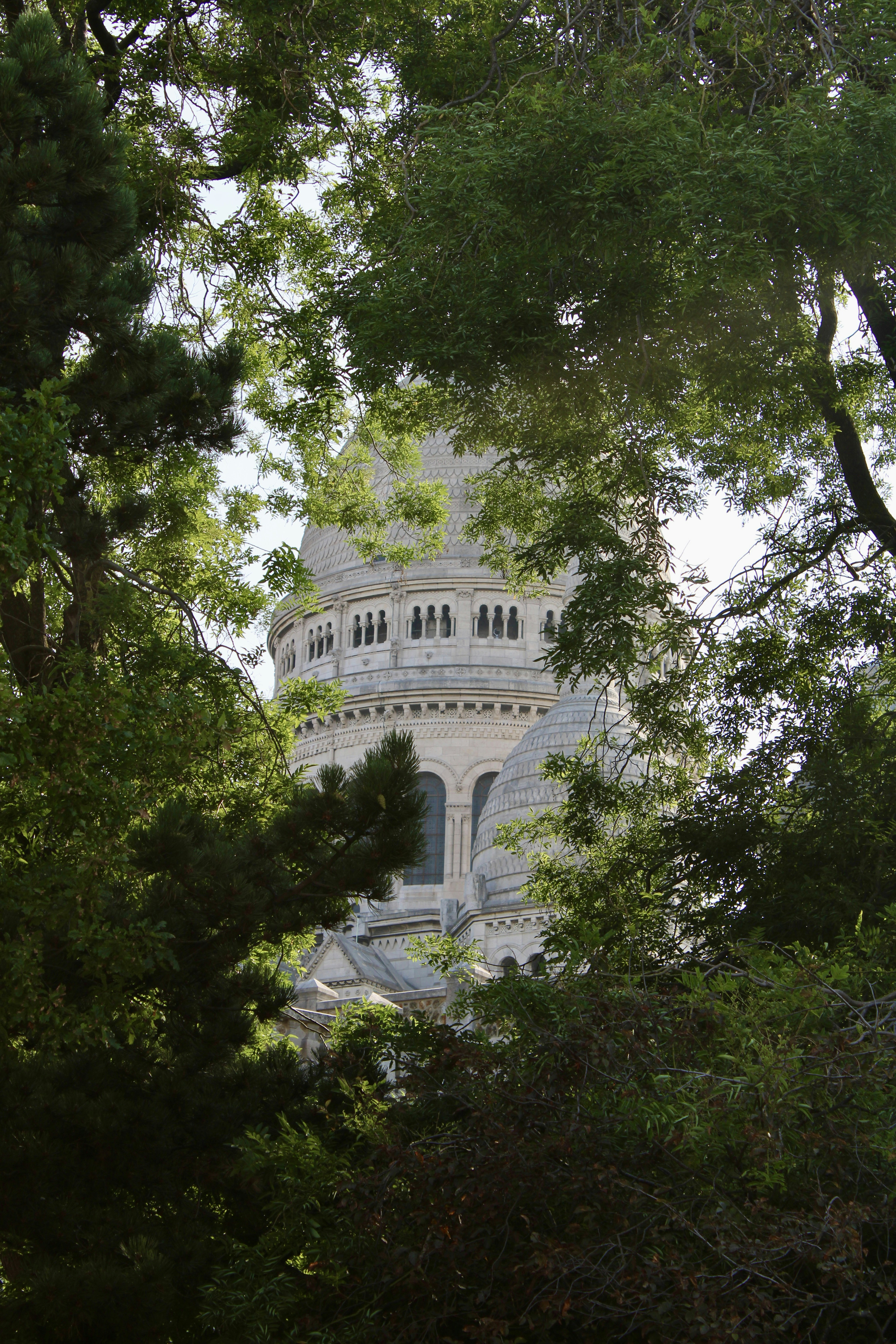 Hidden Dome: A Cathedral Revealed Through a Forest Frame