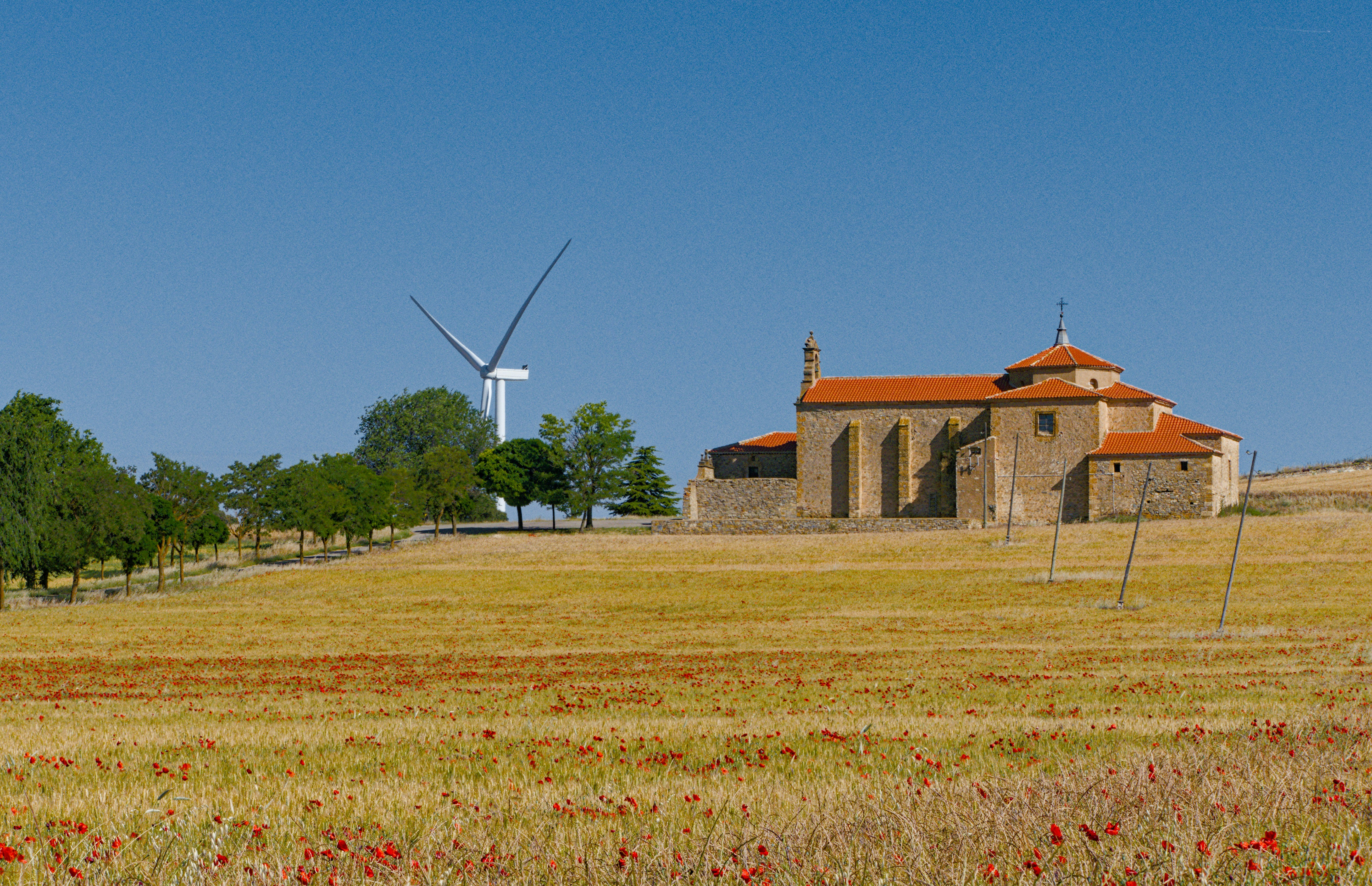 Stone Fortress Beneath a Wind-Swept Sky