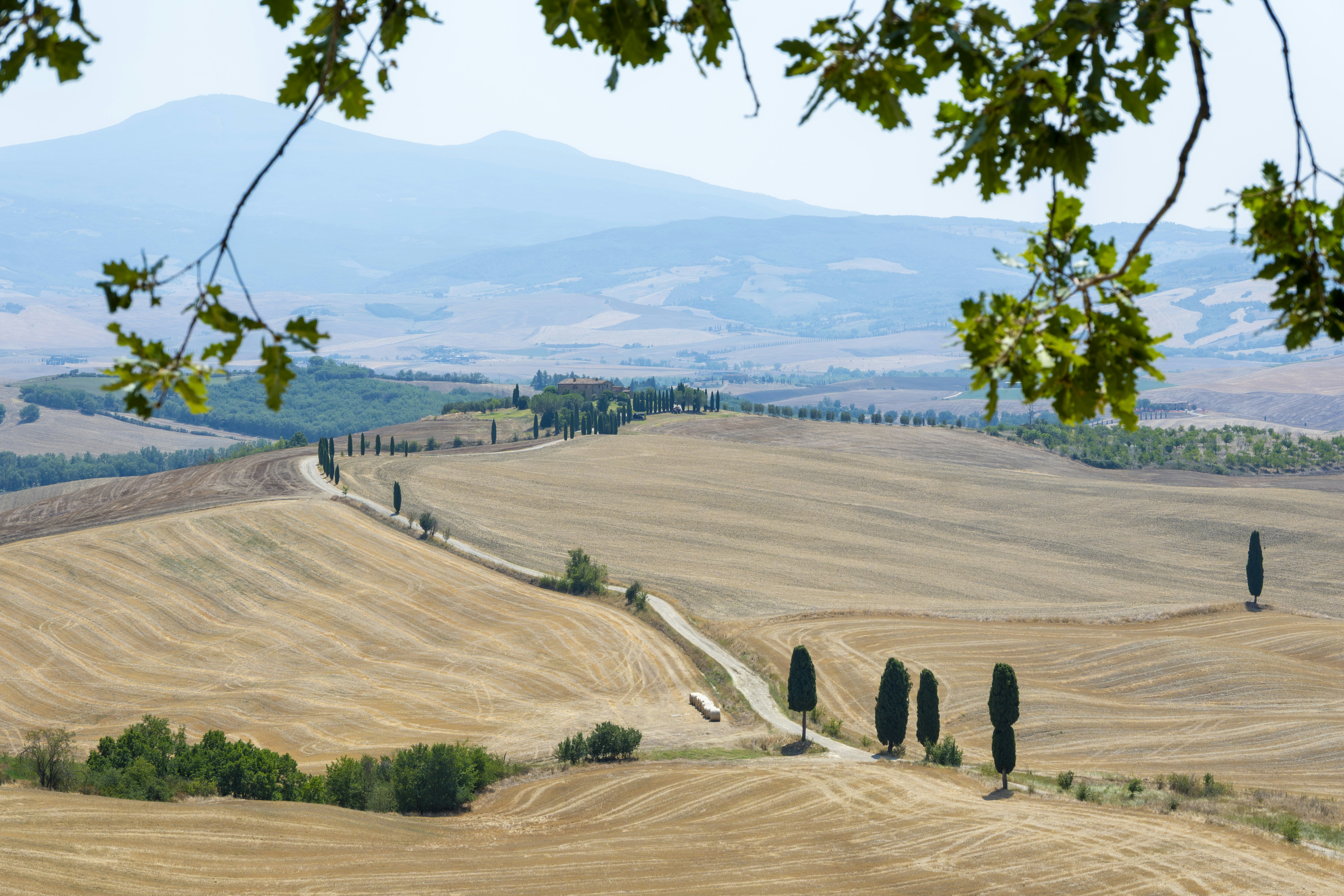 Tuscany photo shot on Nikon Zfc
