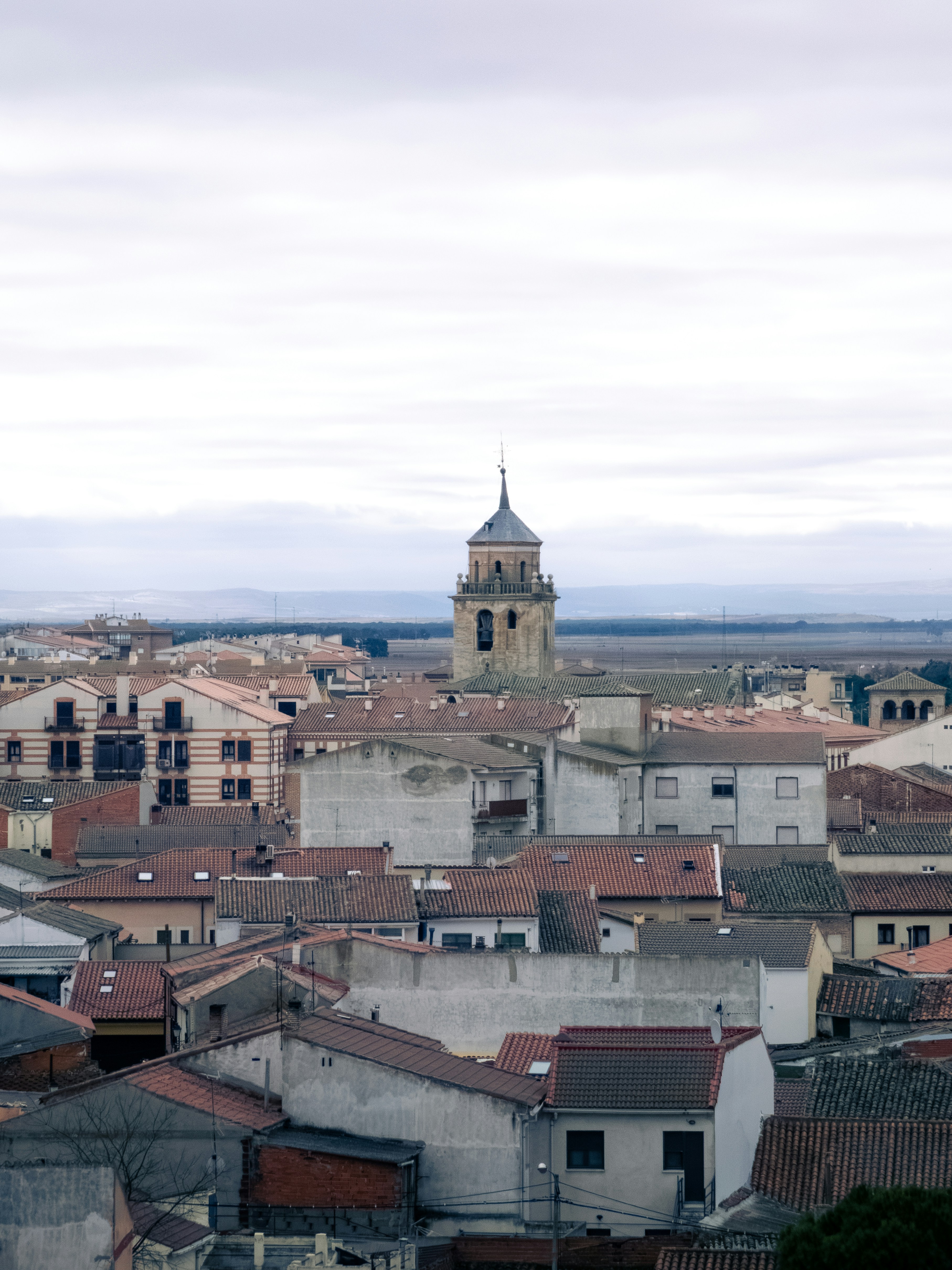 Watchtower Over the Tile Roofscape