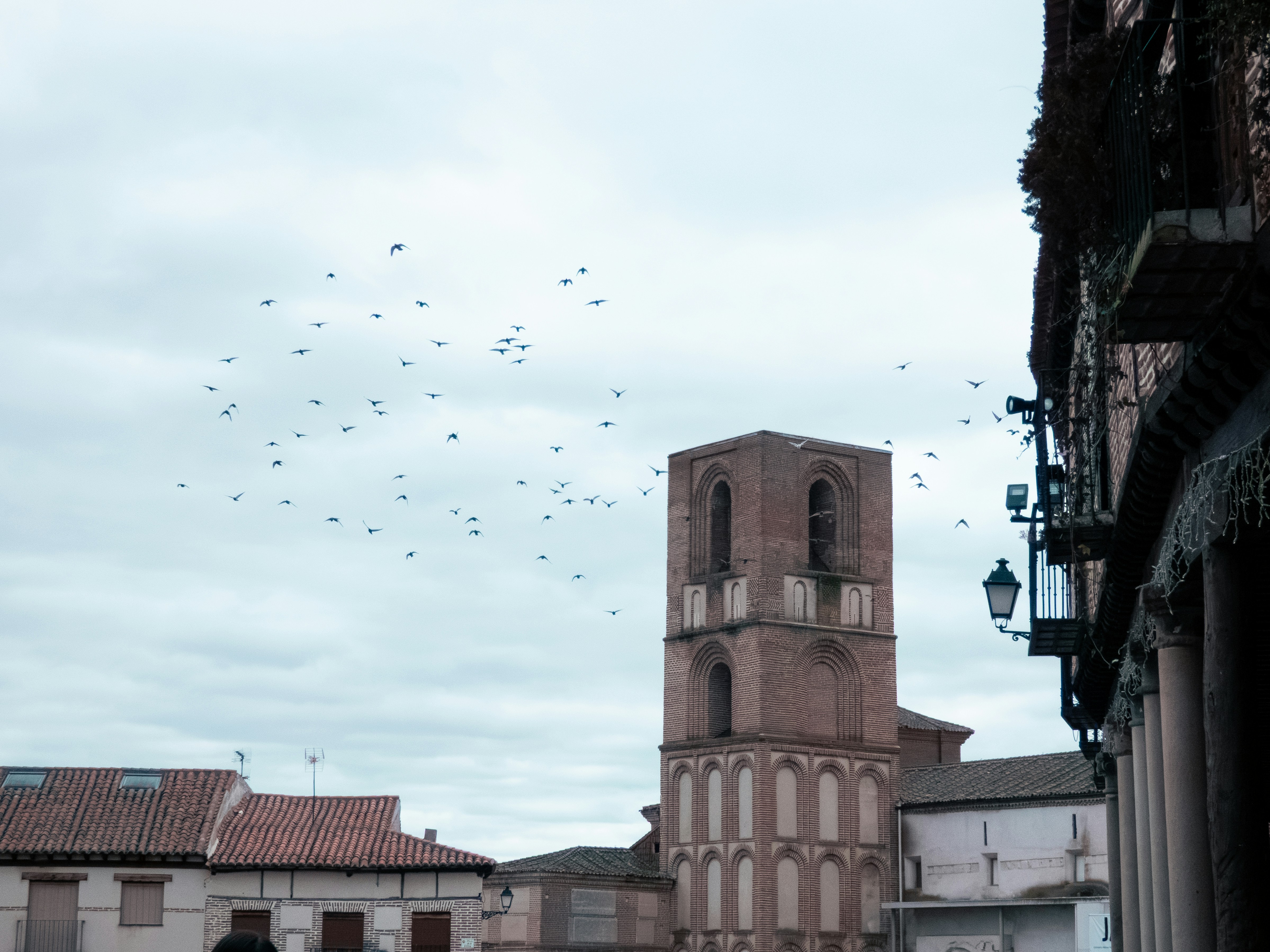 Clocked in the Crosswind: A Tower Guards the Quiet Street