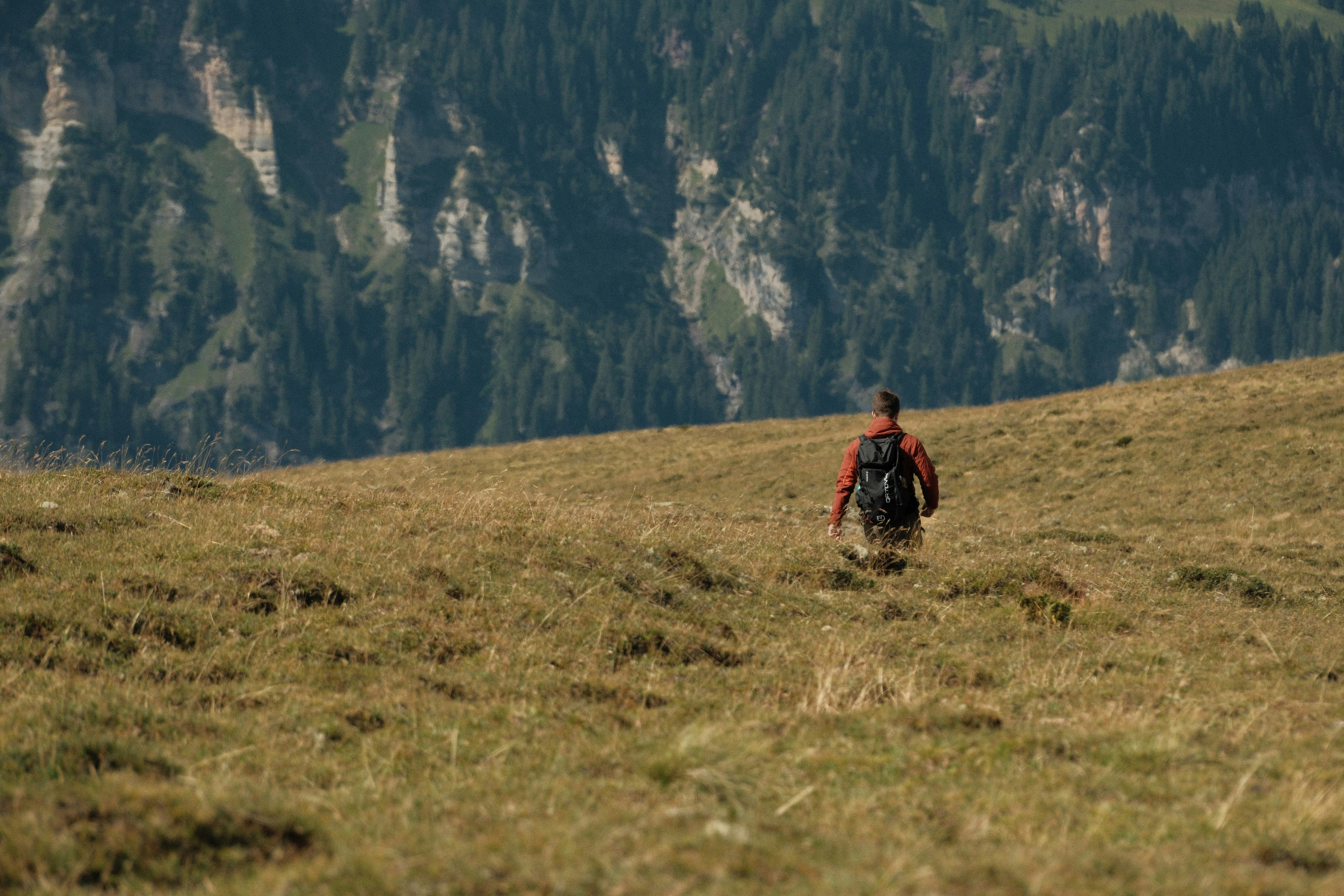 Vast Meadow Trek: A Lone Hiker Toward the Distant Ridge