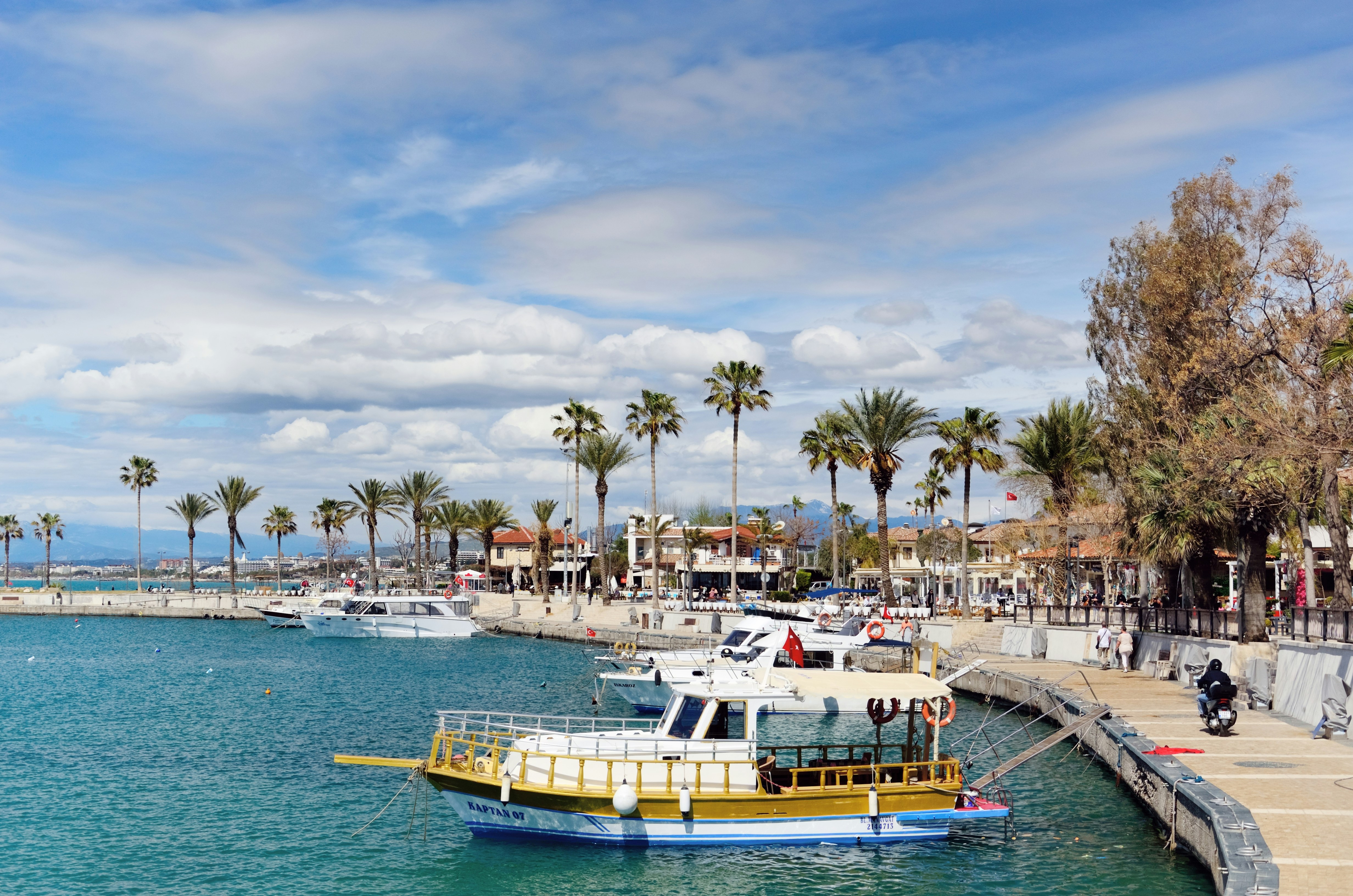 Harbor Breeze: Boats, Palm Promenade, and a Sunlit Pier