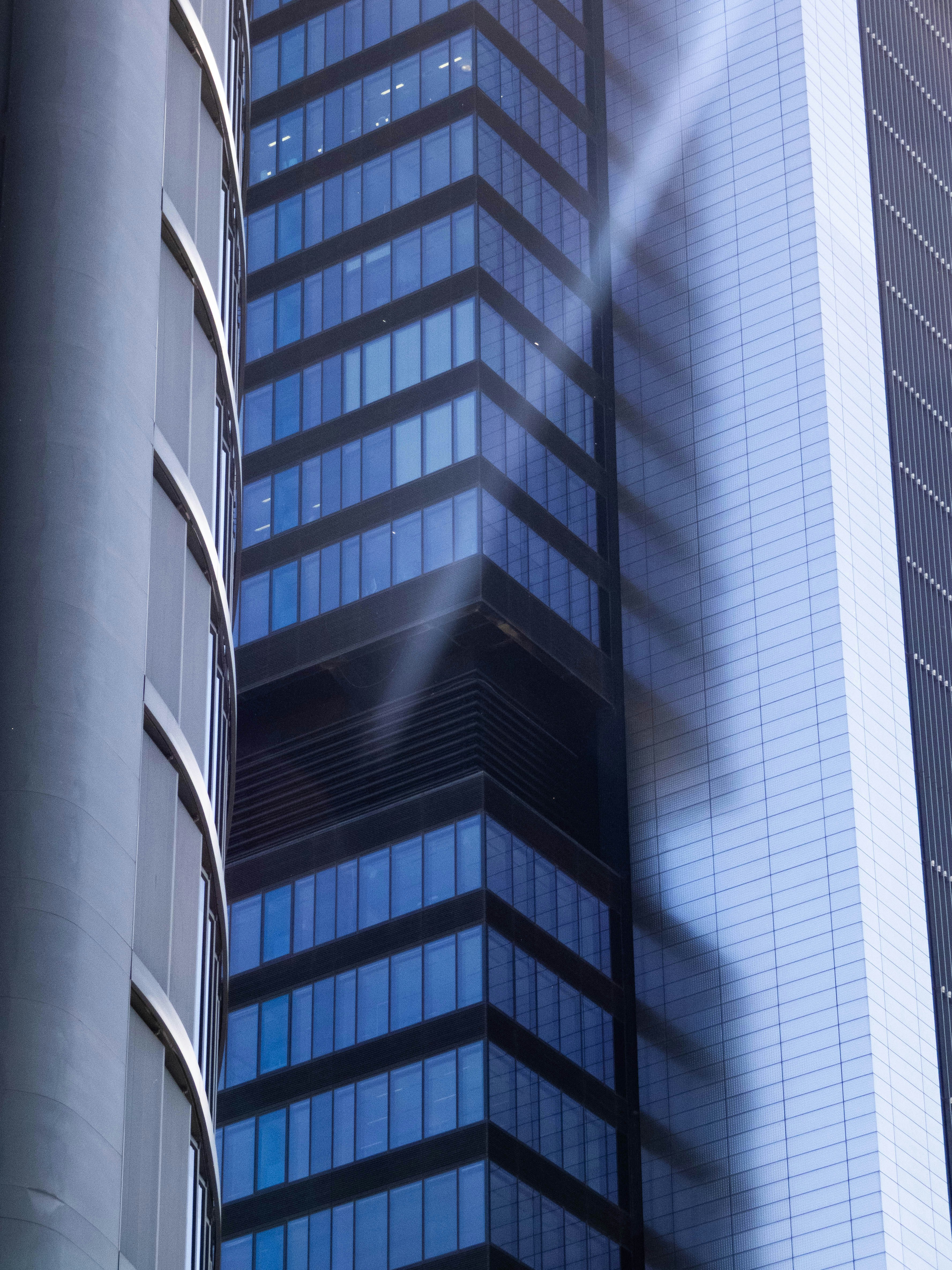 Twin Glass Giants Weave Through Morning Mist