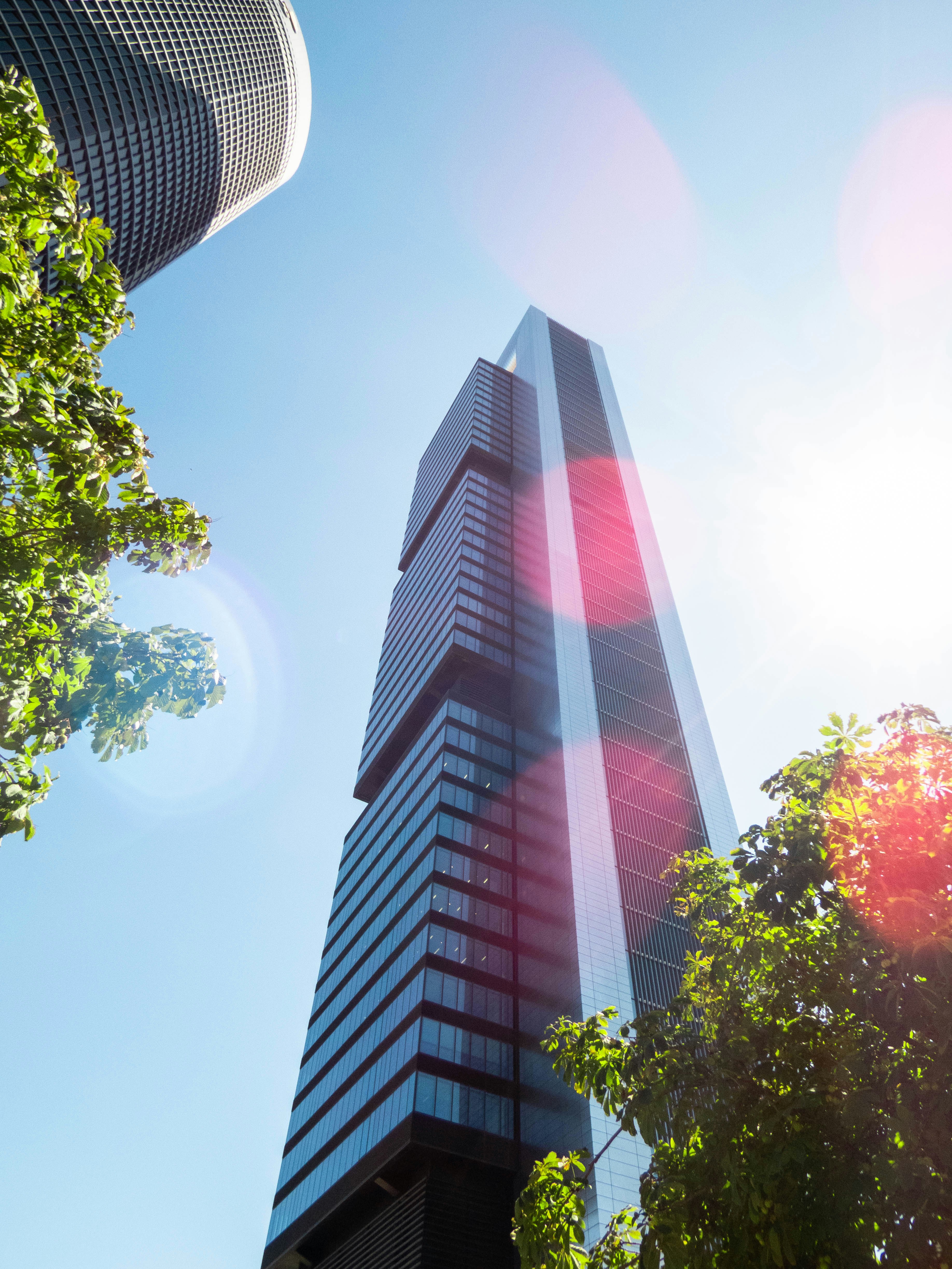 Skyward Spine: Tower Reaches Toward the Sun