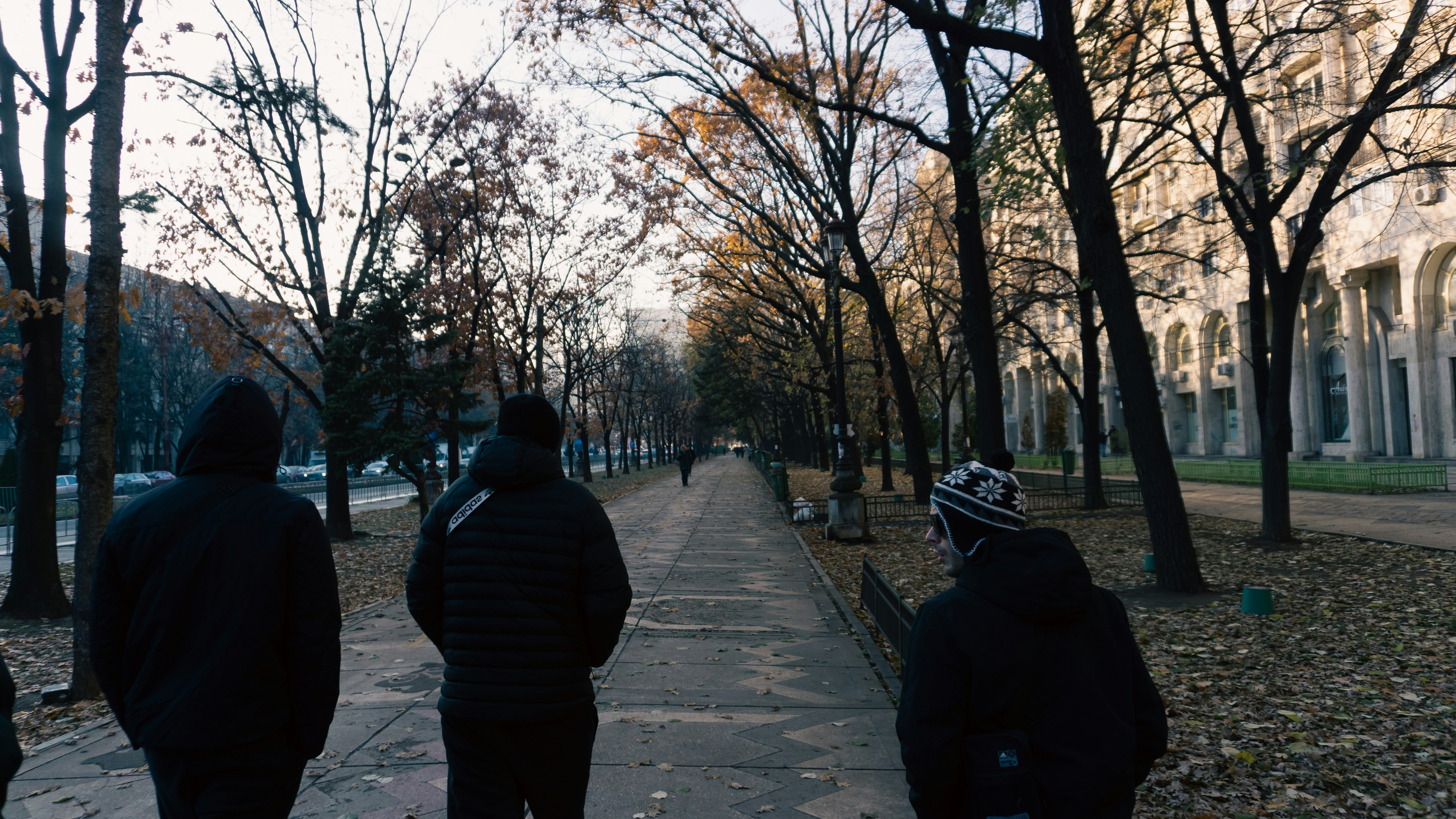Winter Walk: Three Figures in a Silent Park