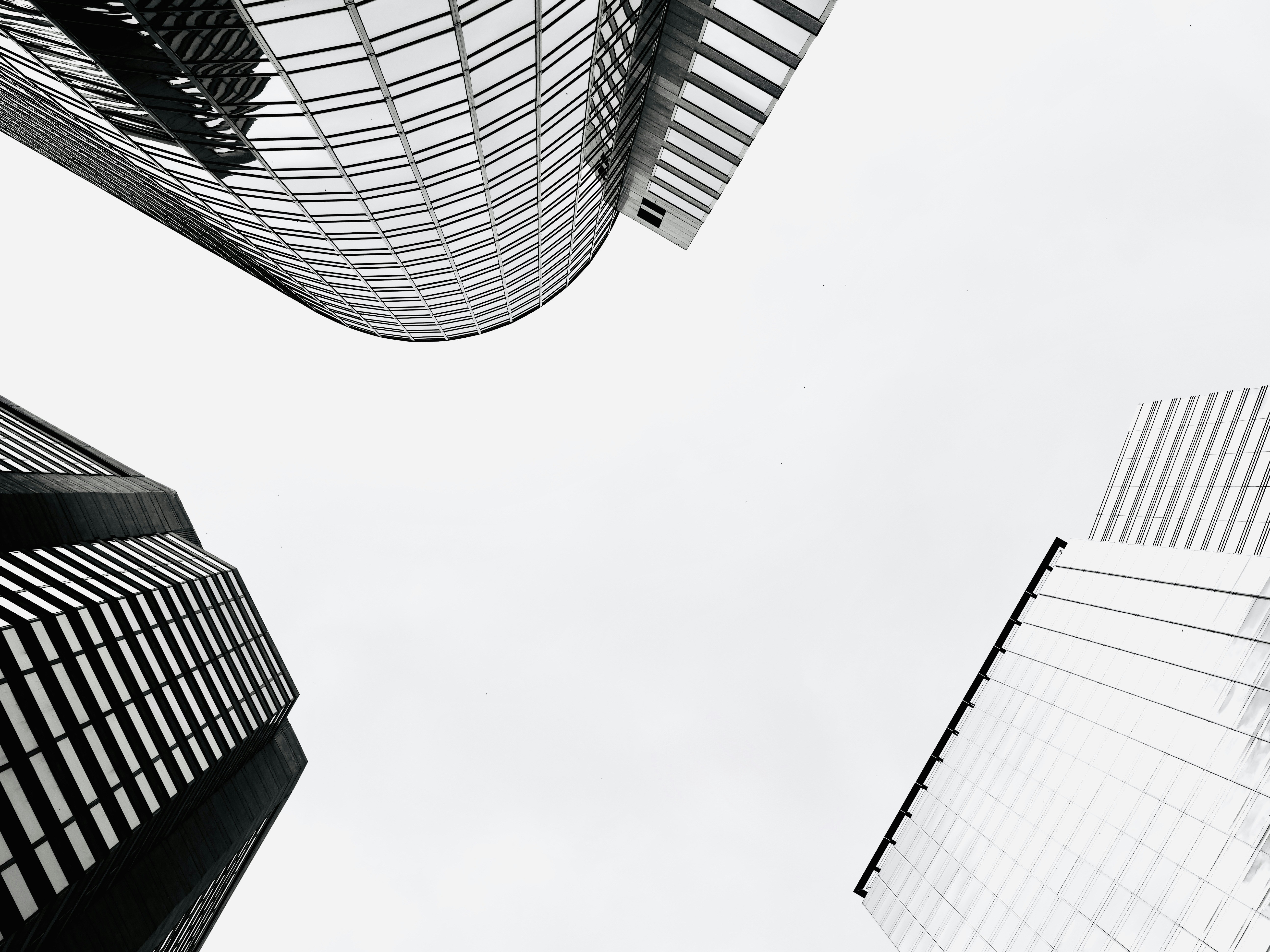 Skyward Gaze: Urban Skyscrapers Converge into White Space