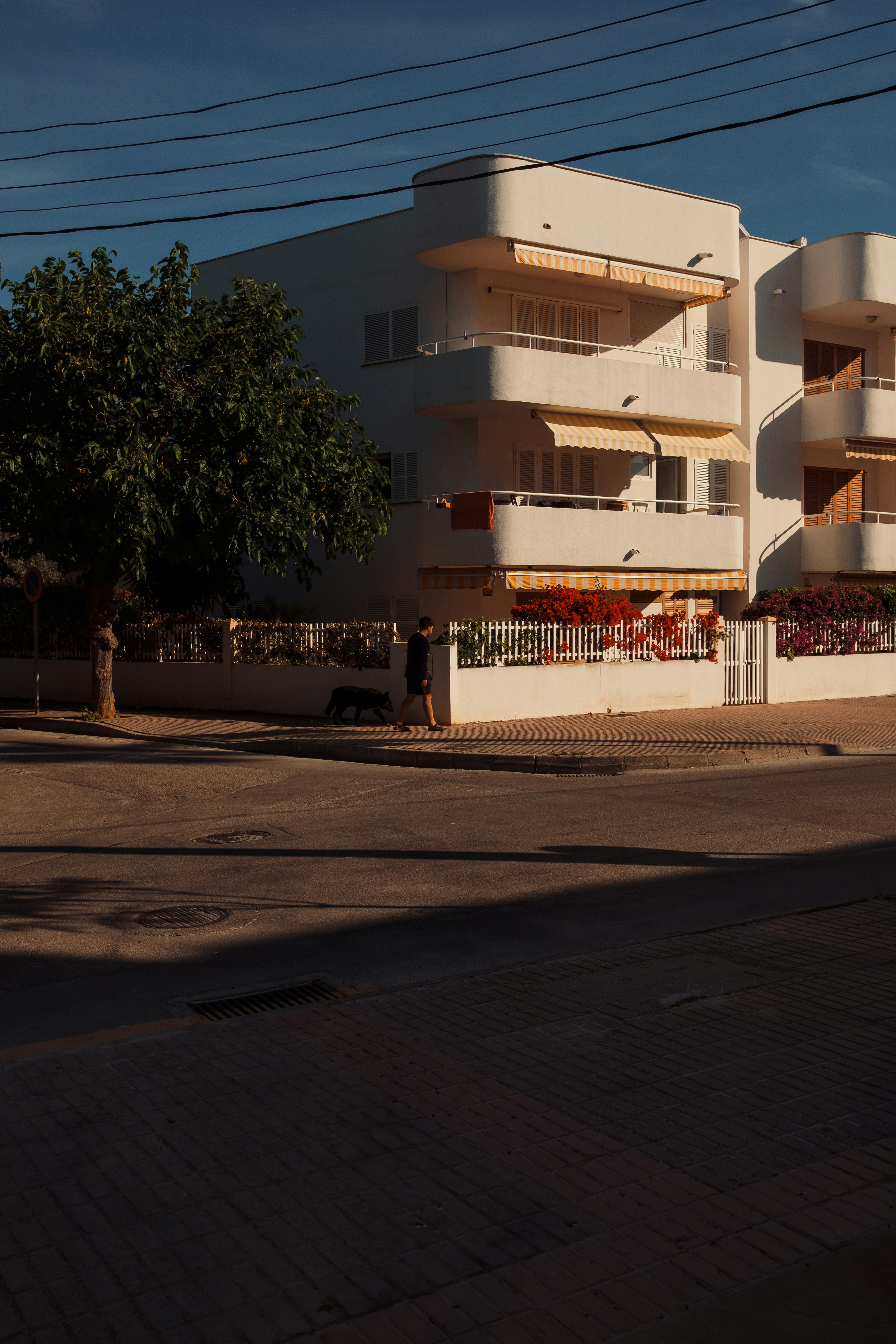 Sunlit Apartment Block with a Quiet Sidewalk Stroll