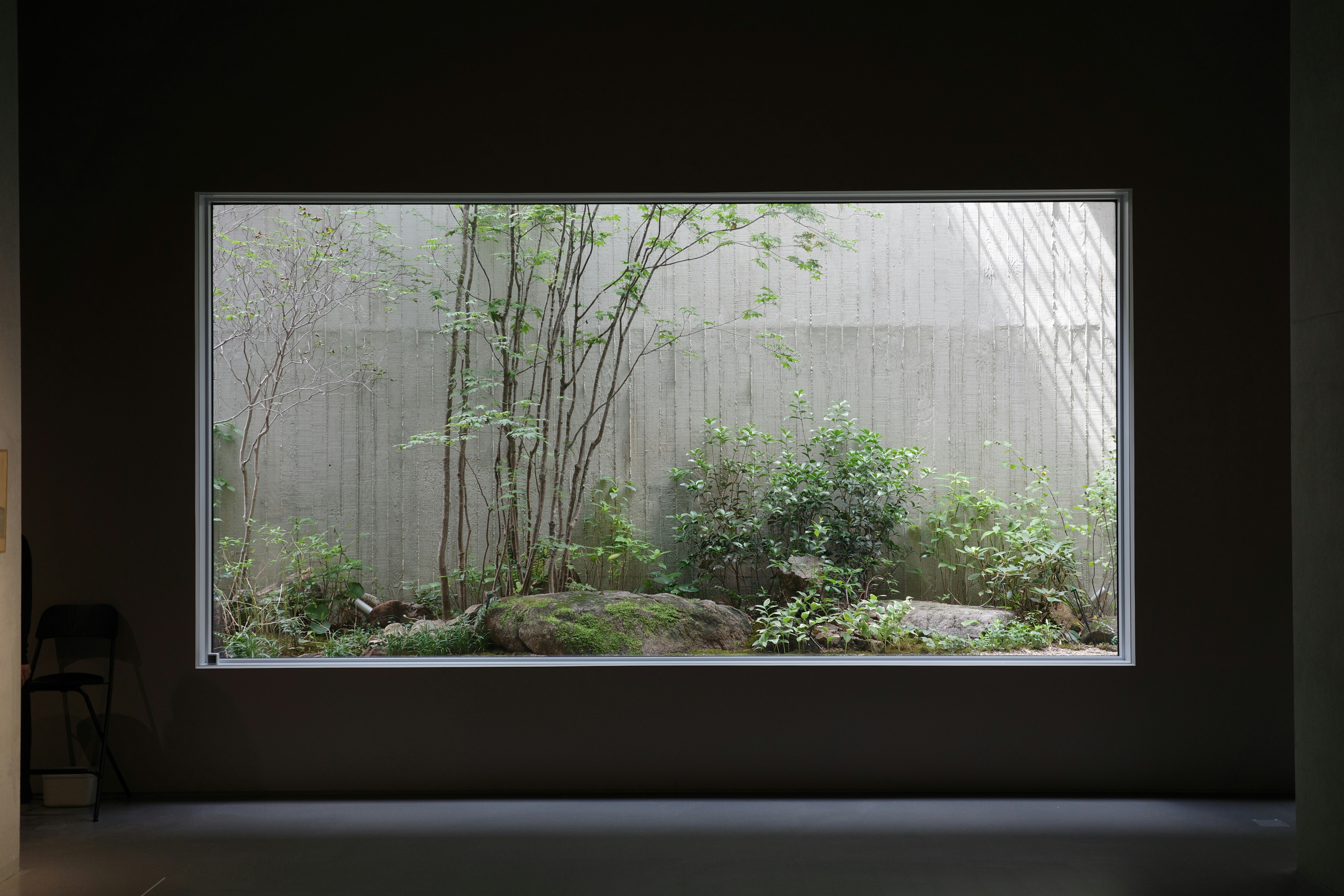 Windowed Oasis: Indoor Garden Framed by a Dark Gallery