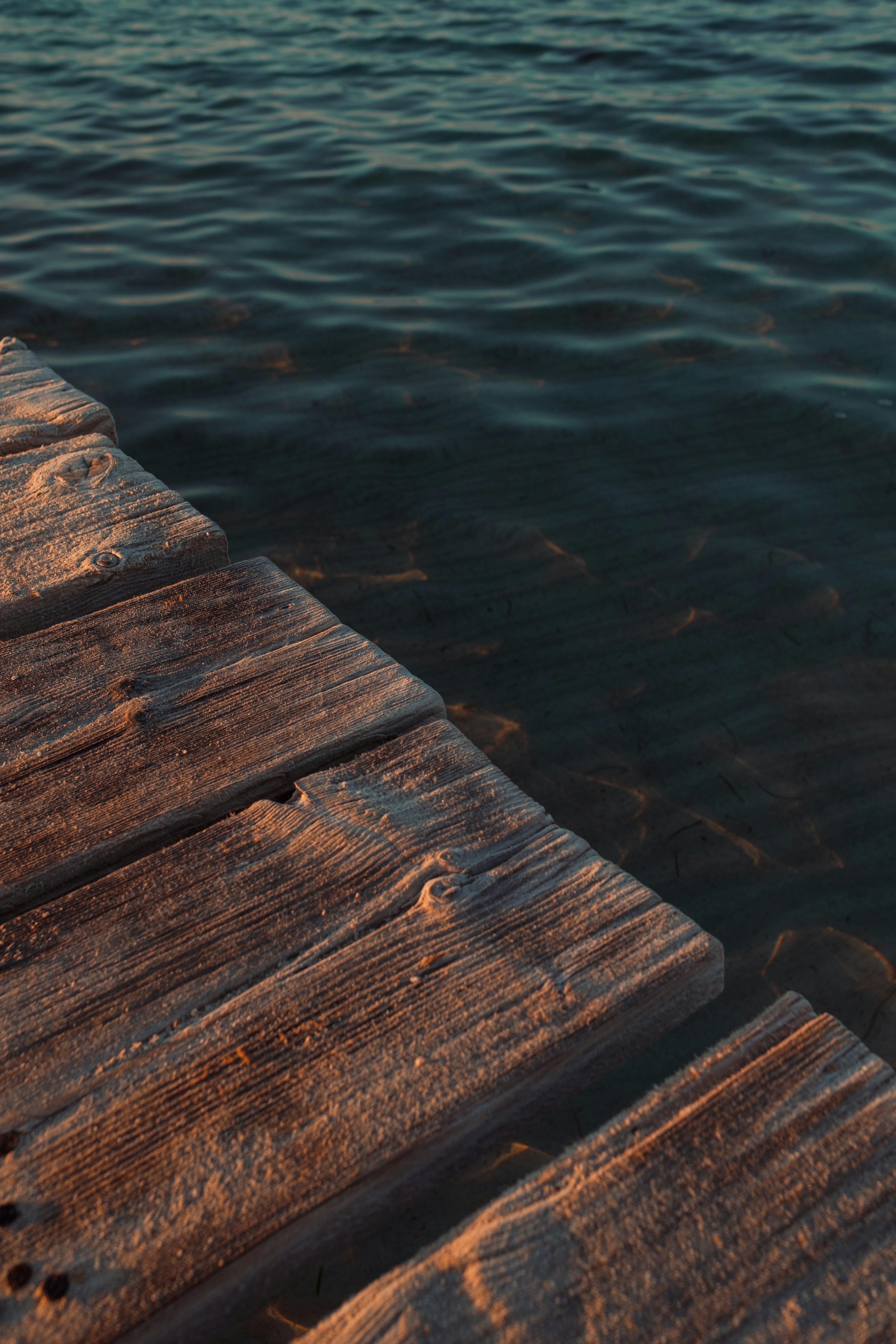 Sunlit planks along a quiet lakeside
