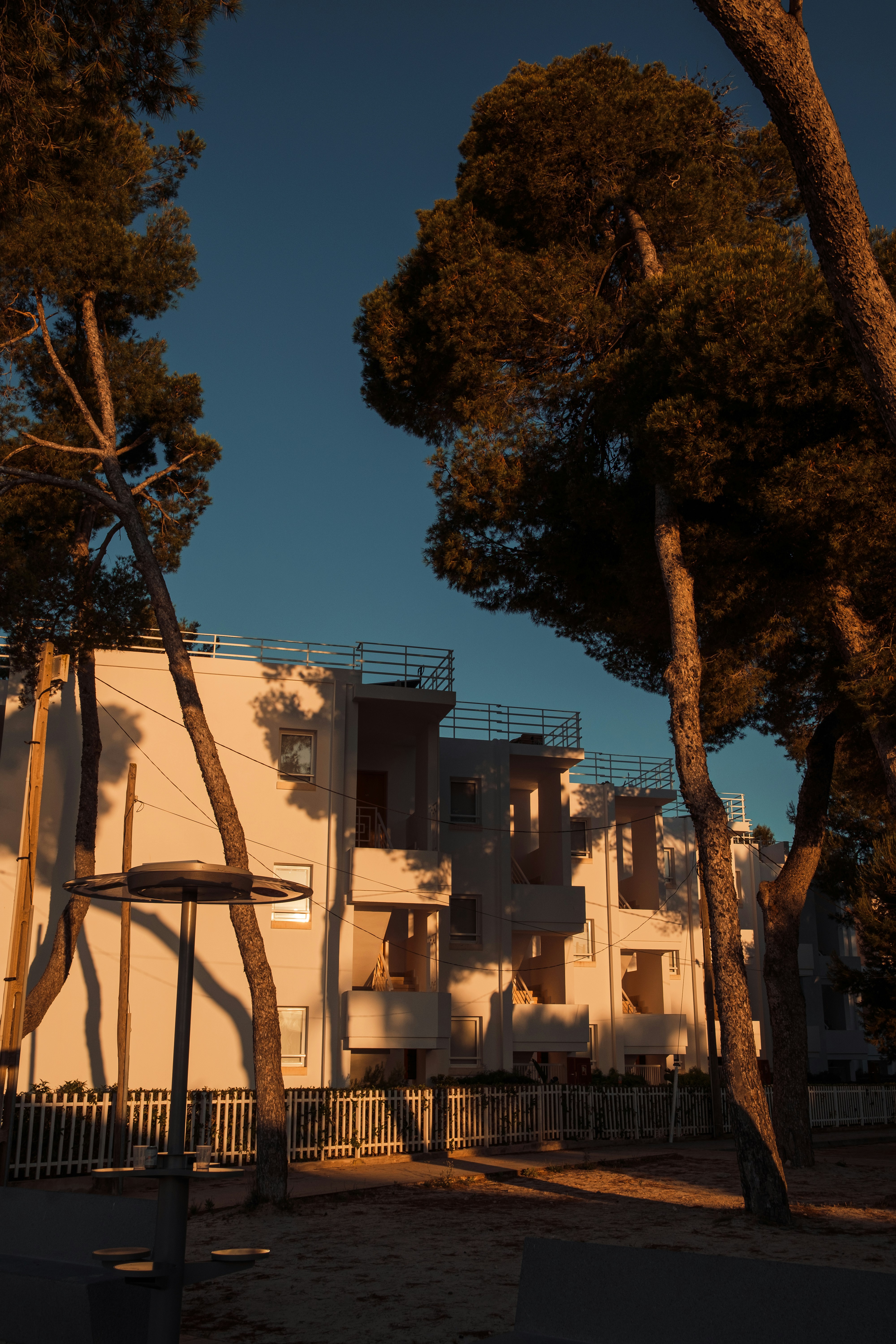 Sunlit Apartment Block Framed by Pines at Dusk