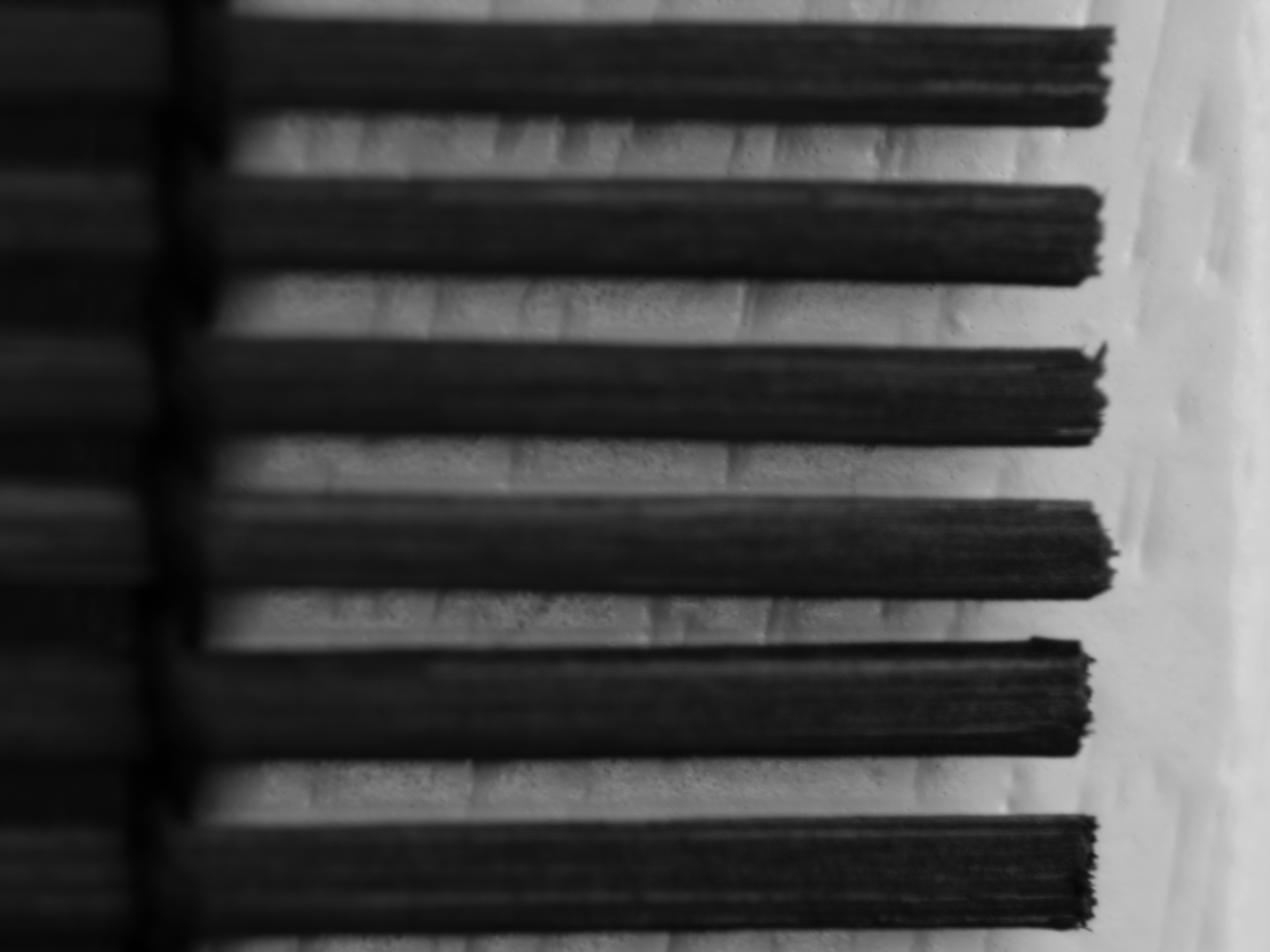 Paused Rhythm: Parallel Slats in Monochrome Light