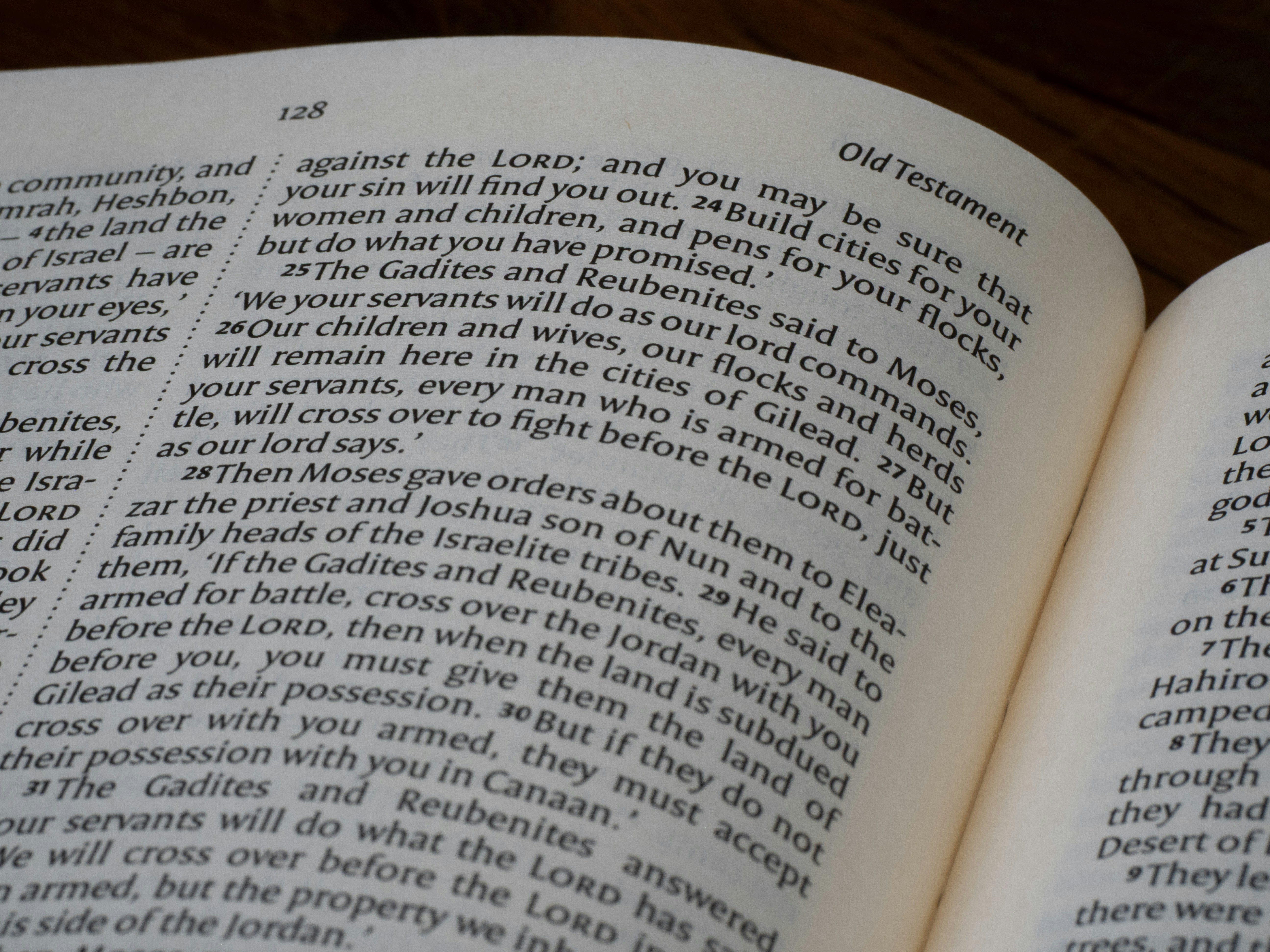 Open page from a Bible showing dense text and a gentle curve of the book spine; the composition emphasizes printed verses and the tactile texture of paper.