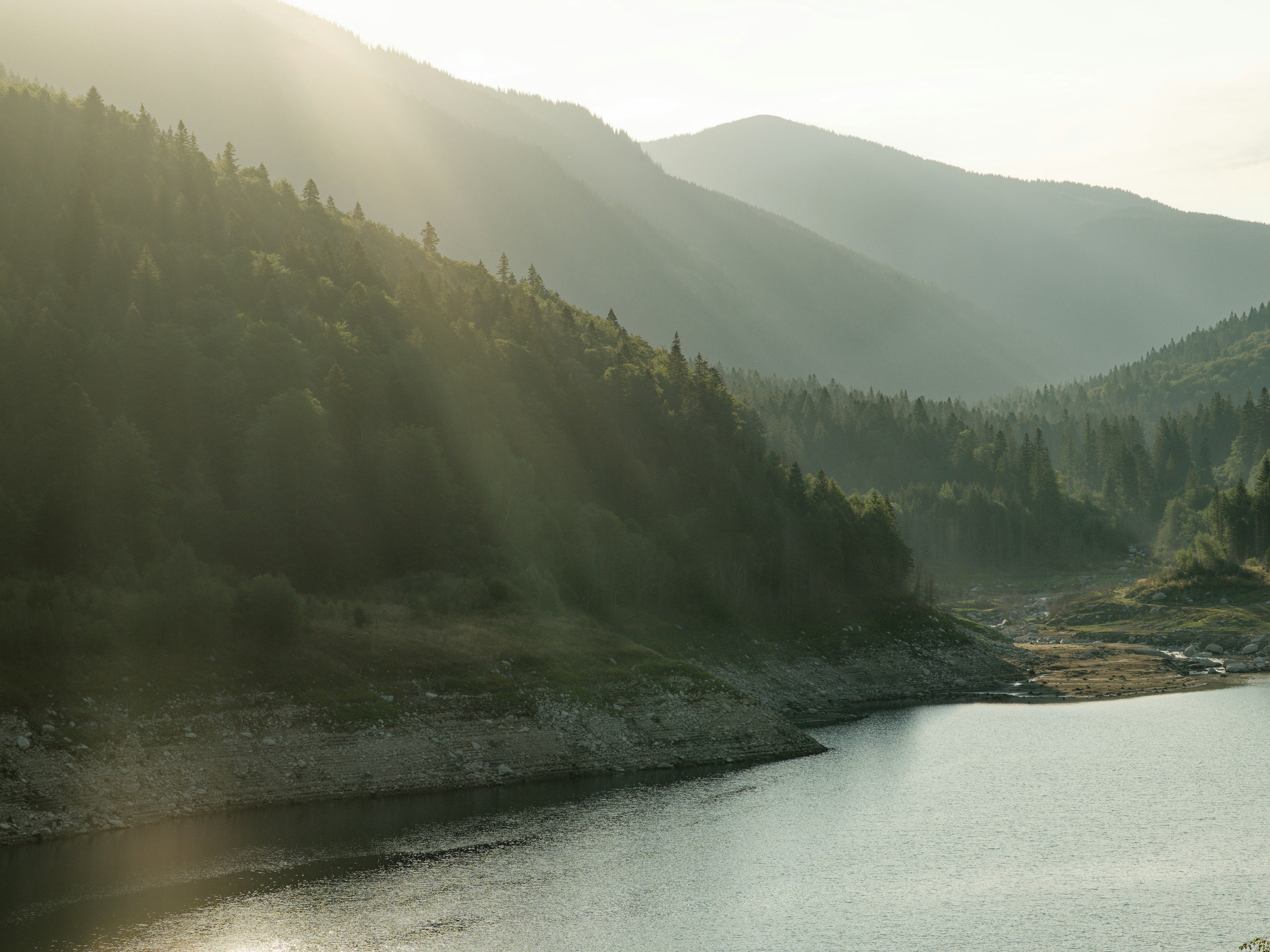 Golden Hour over the Silent Reservoir