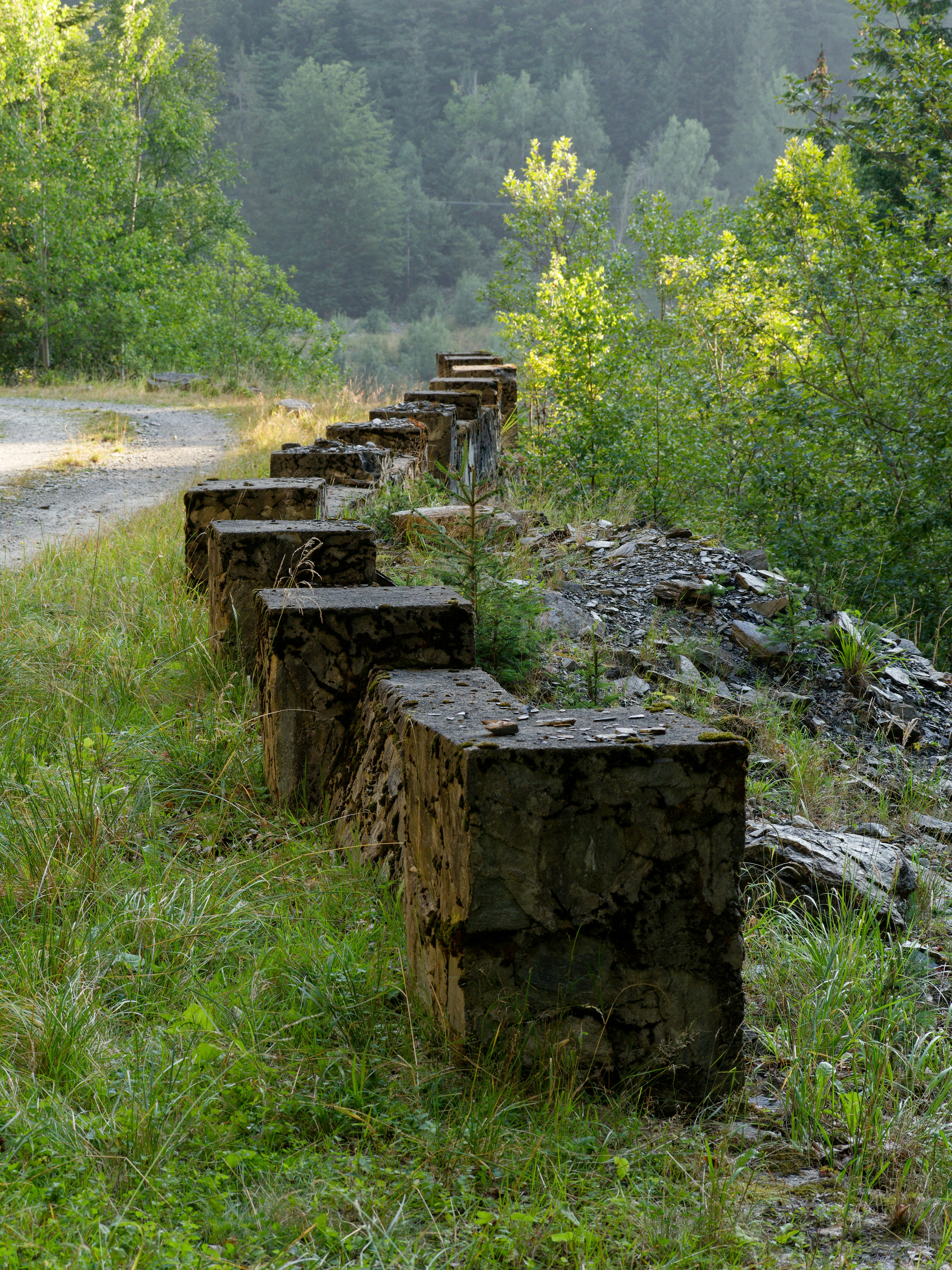 Stone Steps marching into the forest