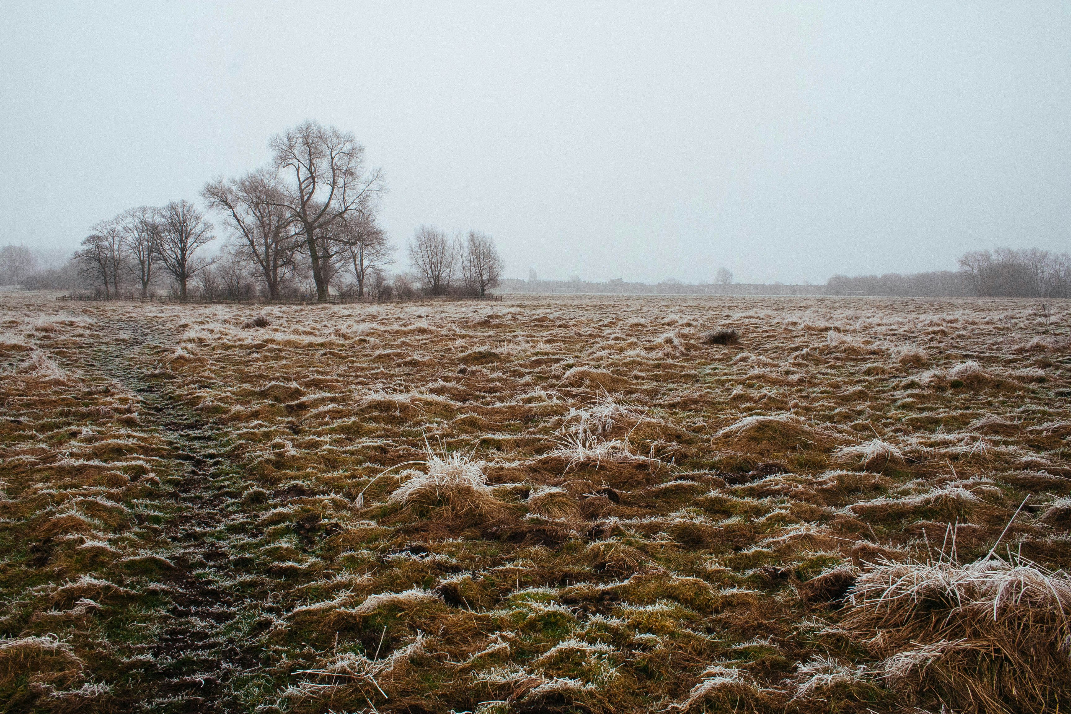 Early Frost Across a Quiet Tilled Field