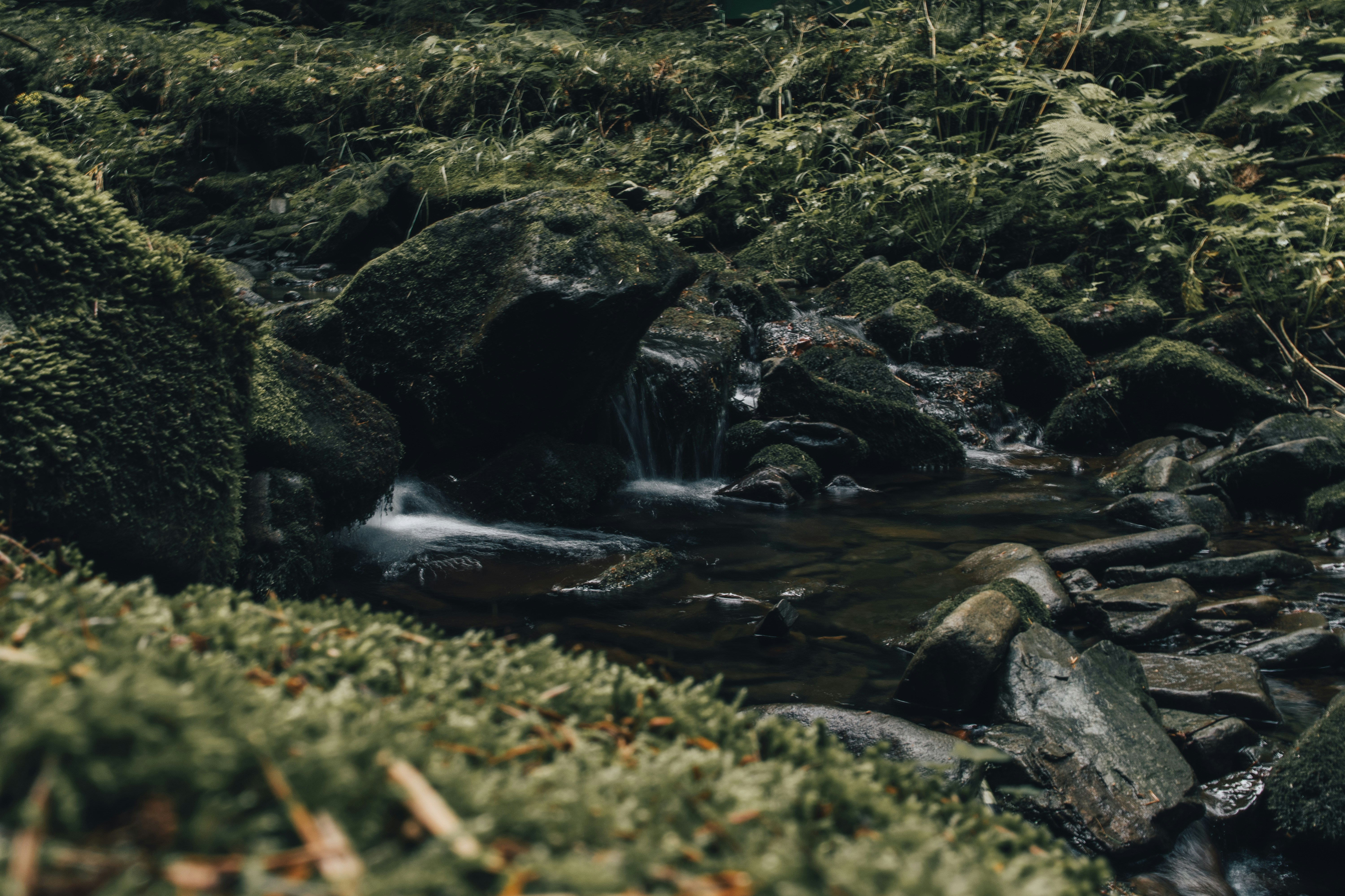 Quiet Cascade Between Mossy Stones