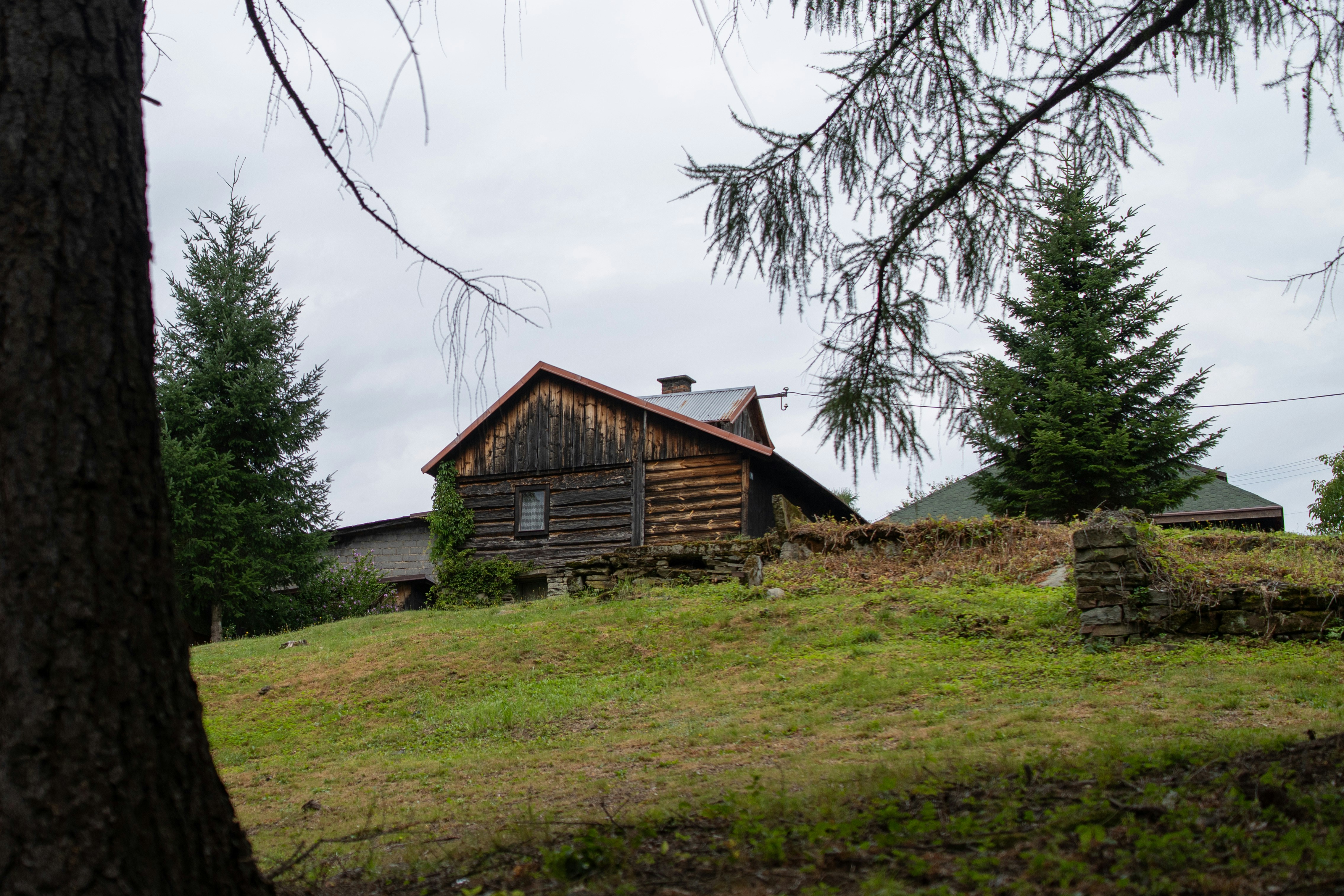 A Weathered Cabin Crowned by Pine Echoes