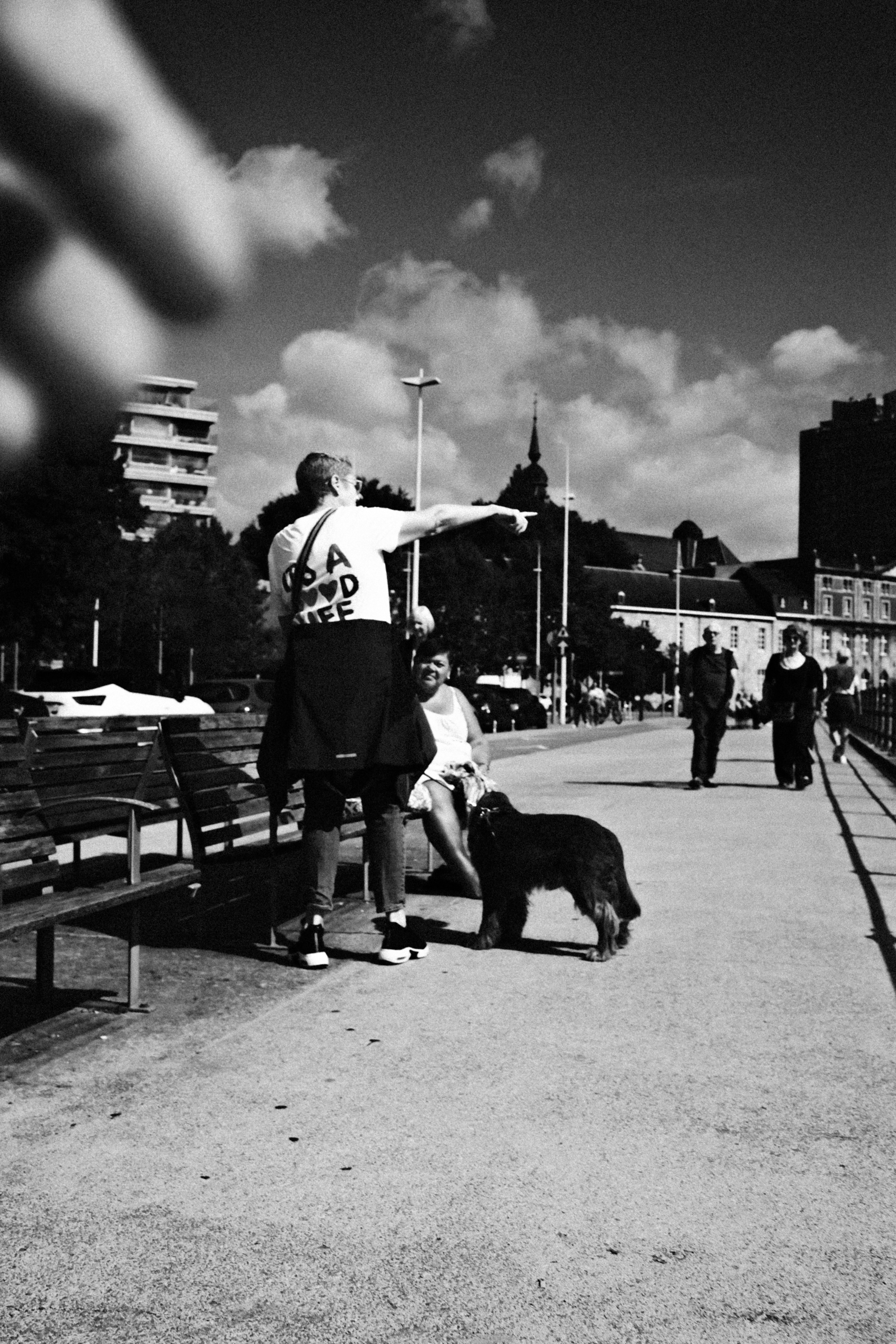 Giant Schnauzer at the Waterfront: A Moment of Pause with Friends
