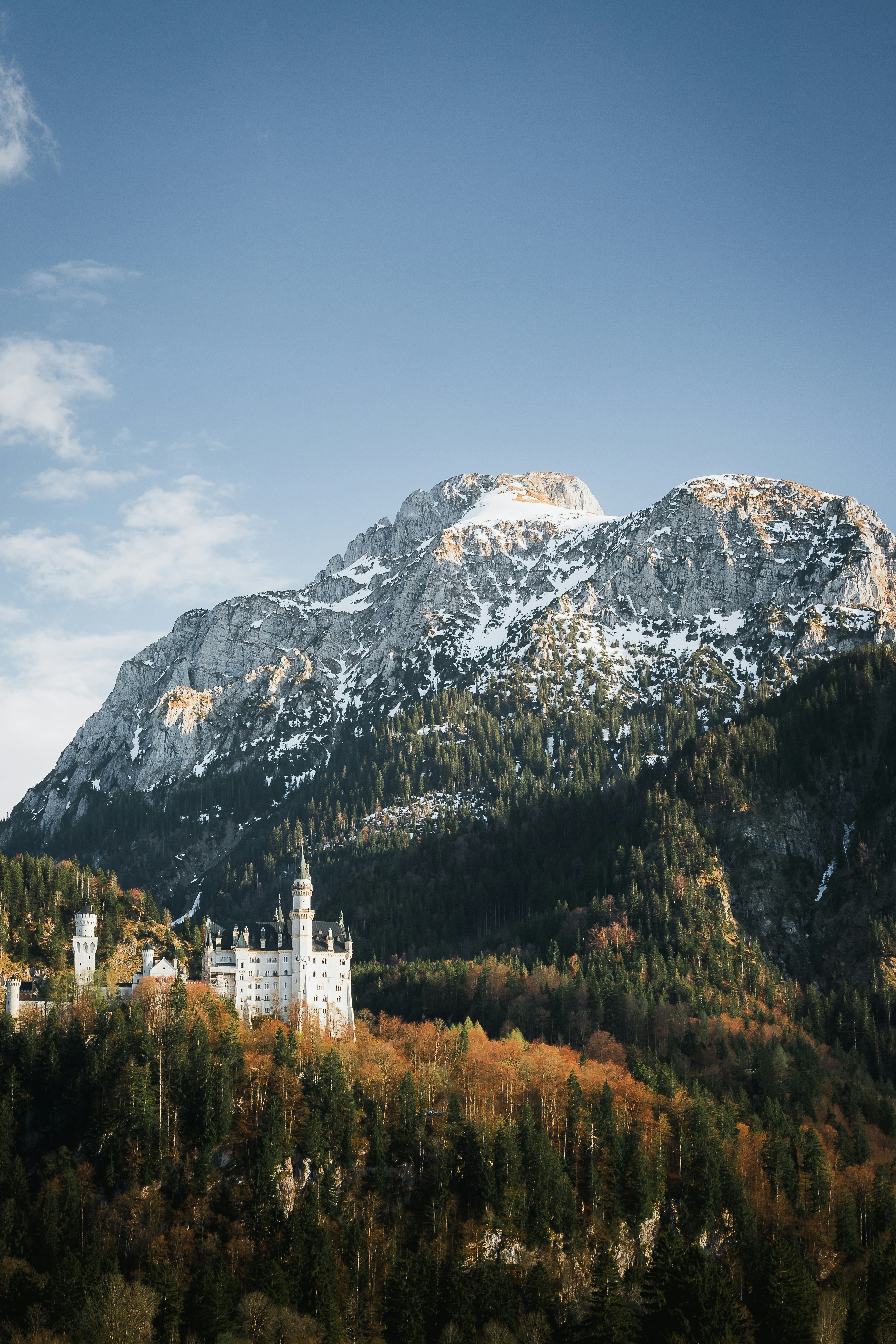 Castle in the Pines Beneath Alpine Peaks