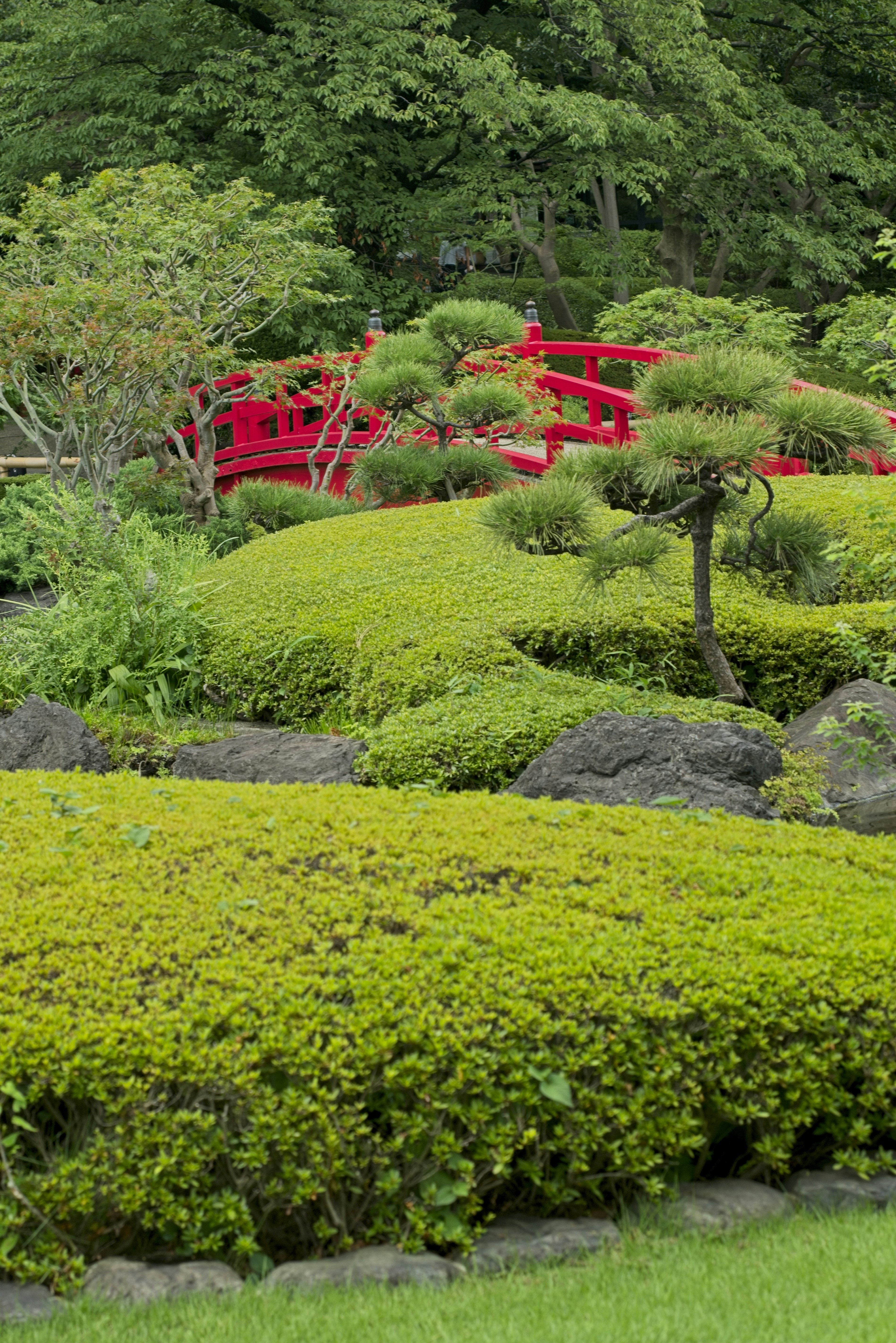 Crimson Arch Over a Serene Japanese Garden Bridge