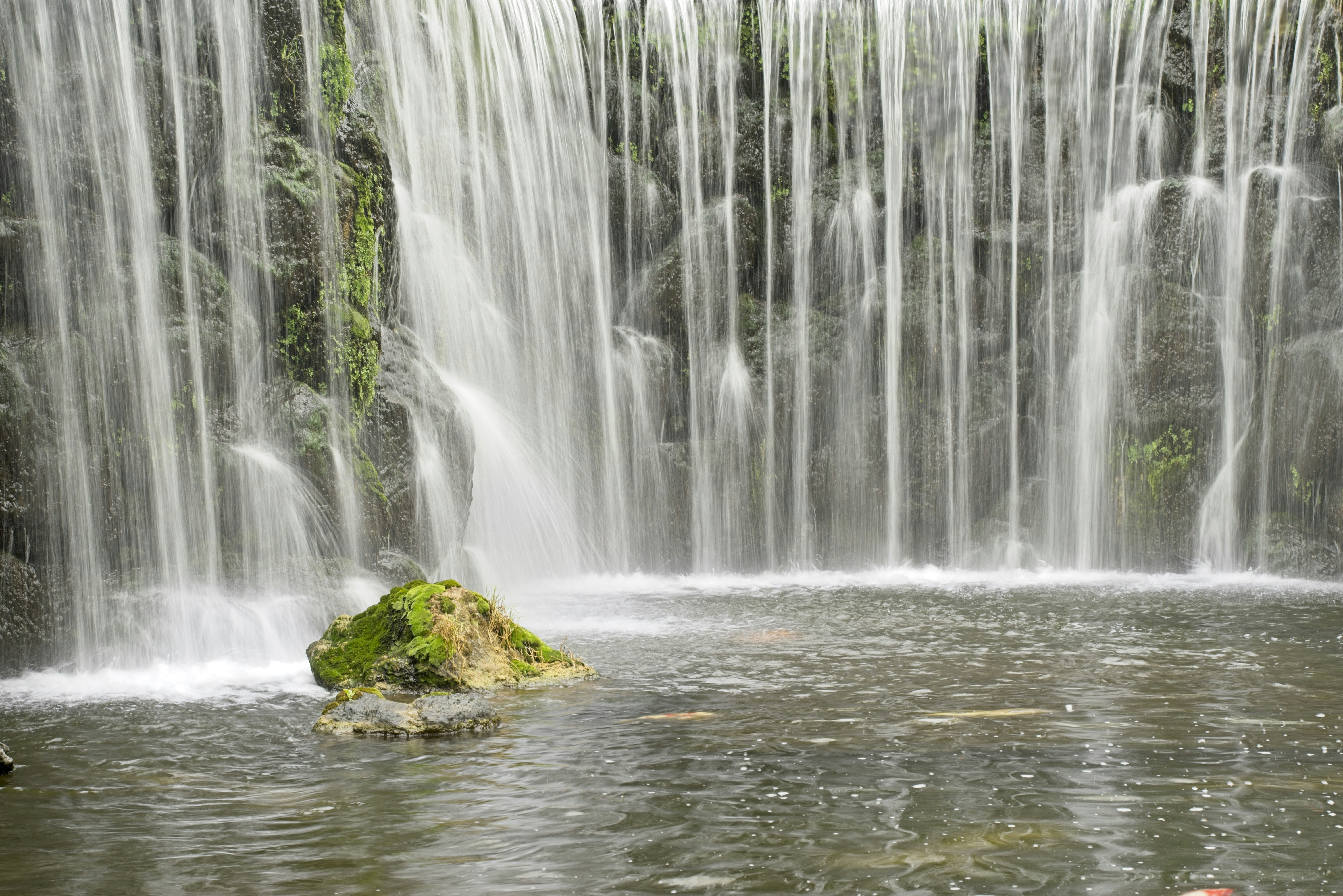 Veil of Cascades: Mossy Island Against a Curtain of Water