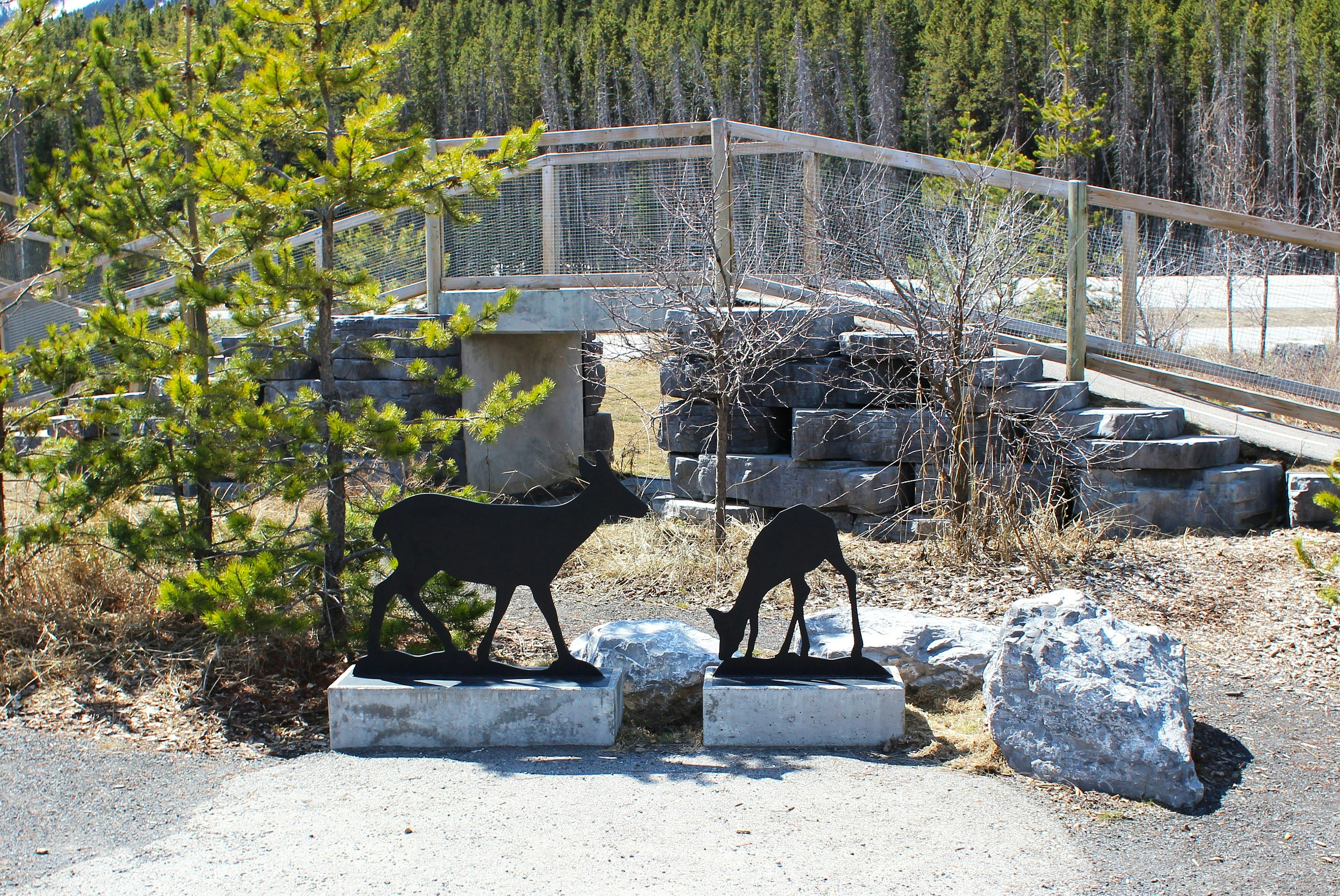 Silhouettes on Stone Risers: Deer Figures Guard a Small Park Bridge