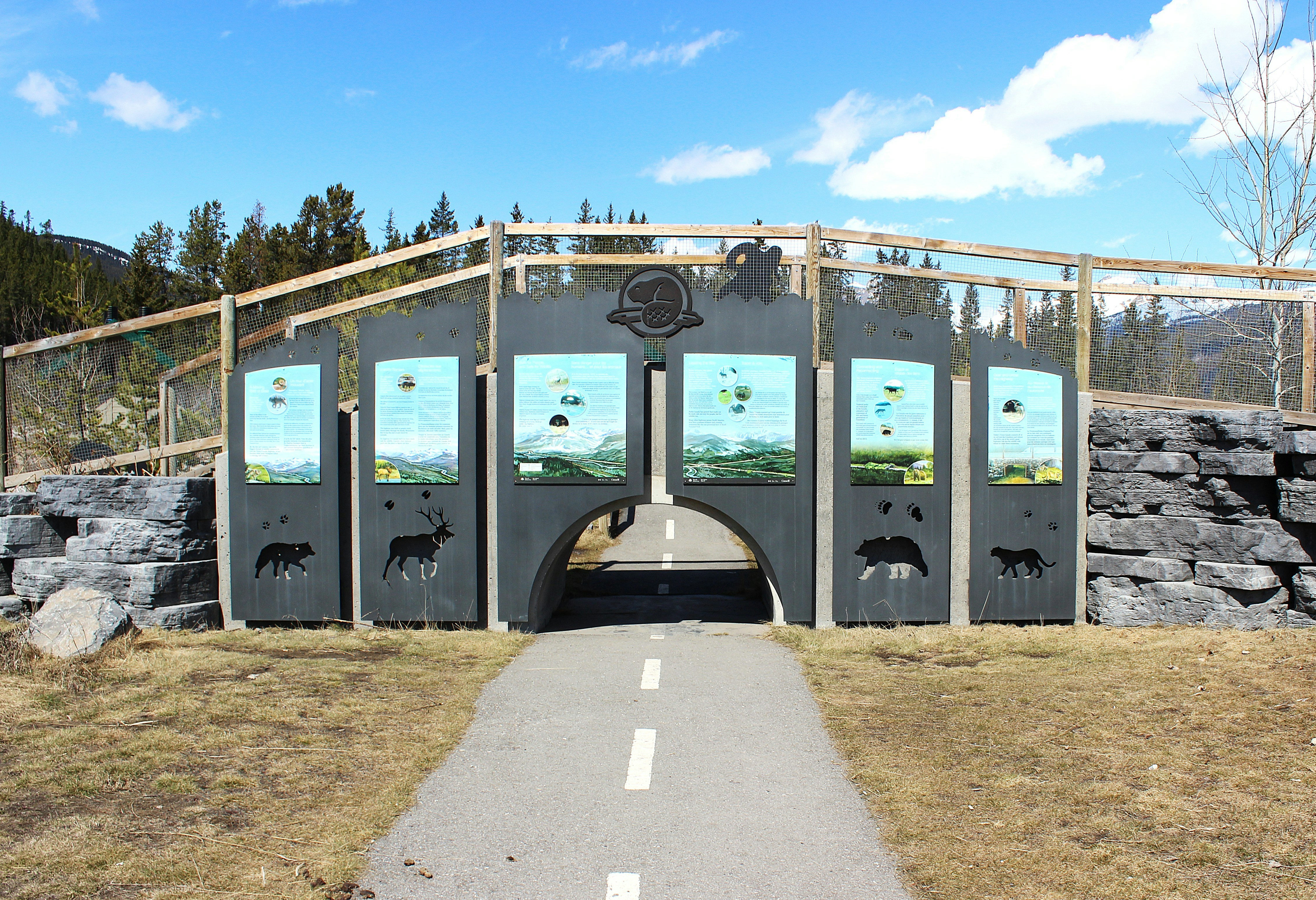 Gateway to the Meadow: A Painted Archway Over a Quiet Path