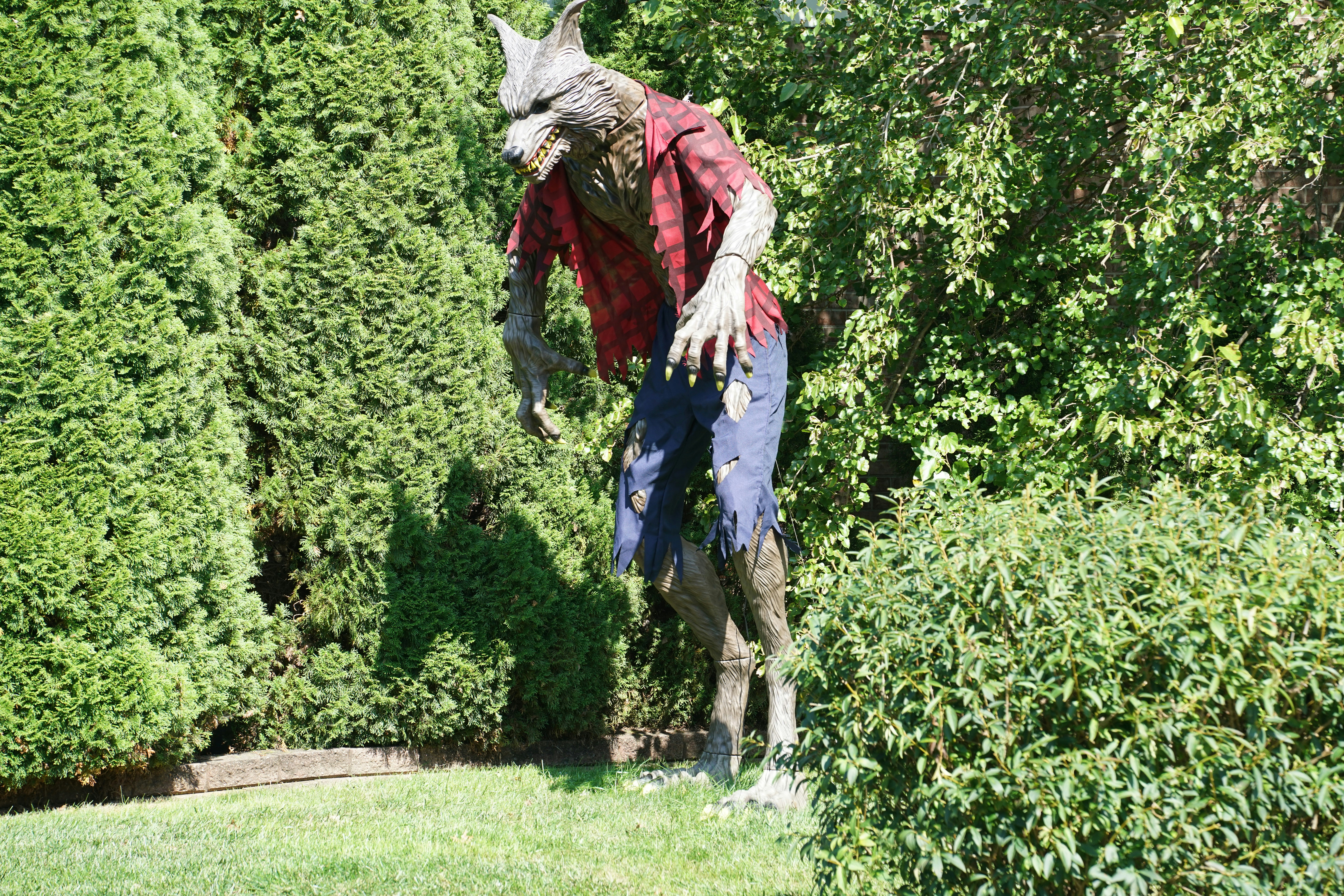 Zombie in the Garden: A Grass-Gilled Figure Looms over the Hedge