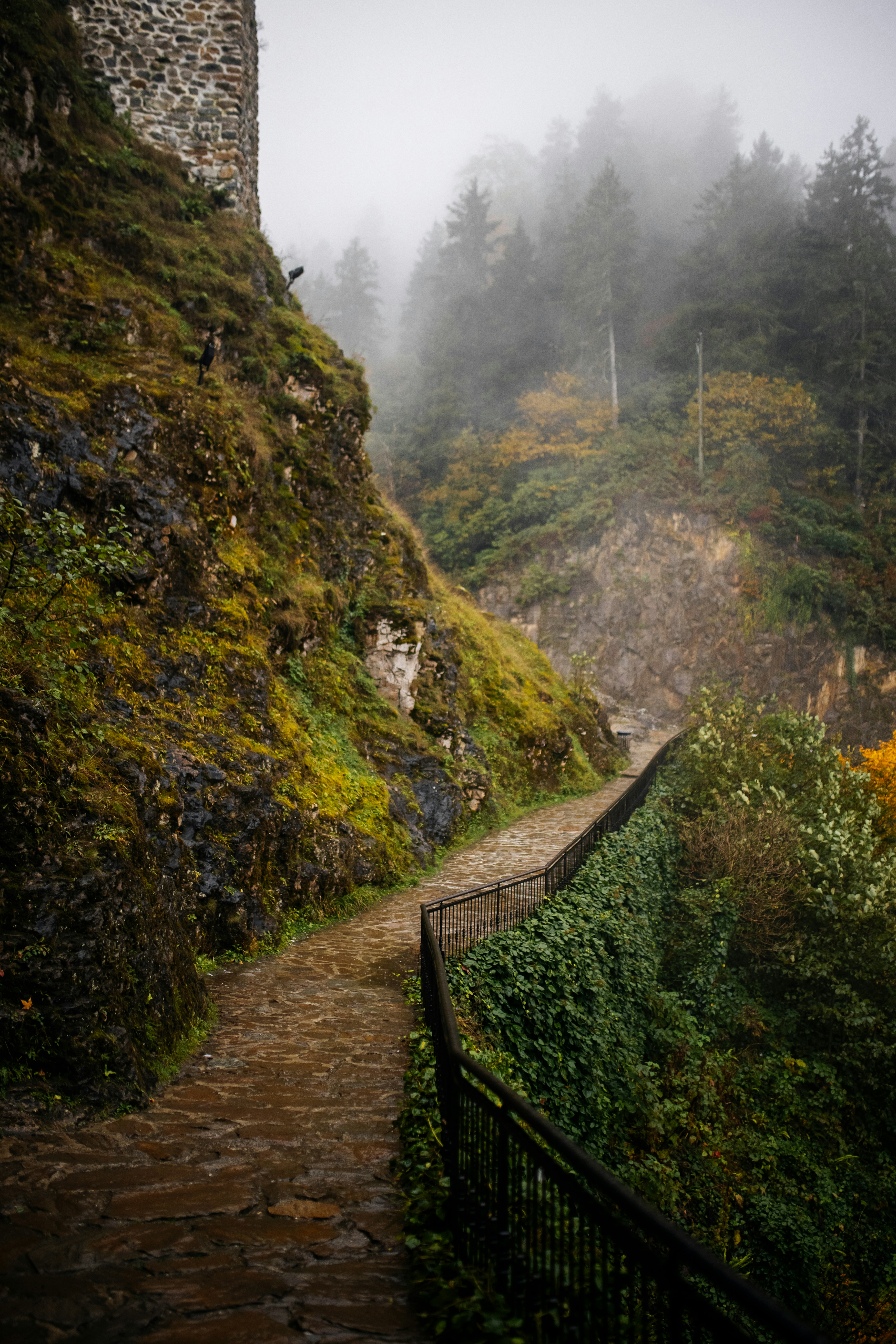 Mist-Softened Path Along a Verdant Cliff