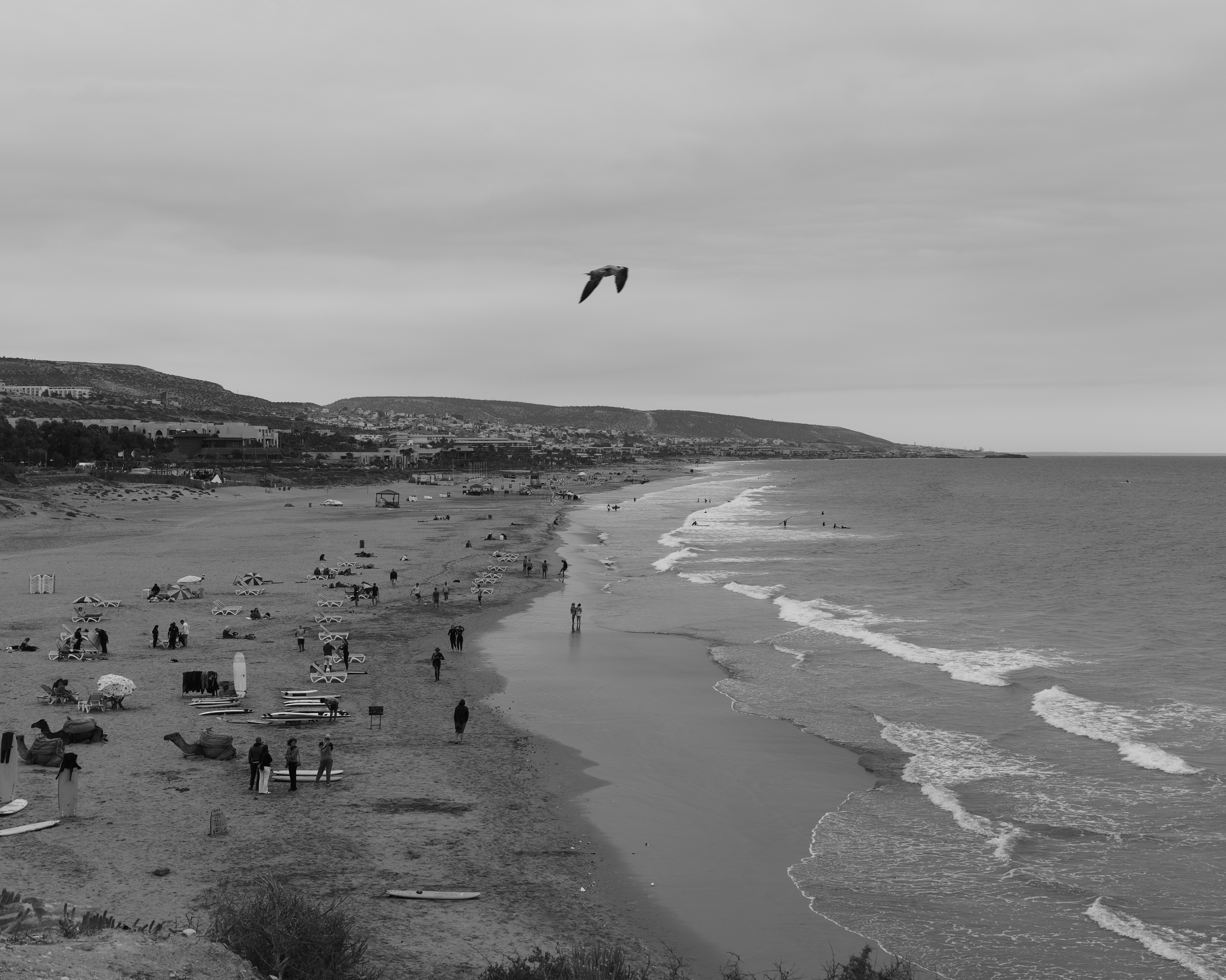 Seaside Horizon: A Quiet Day Noted in Gray