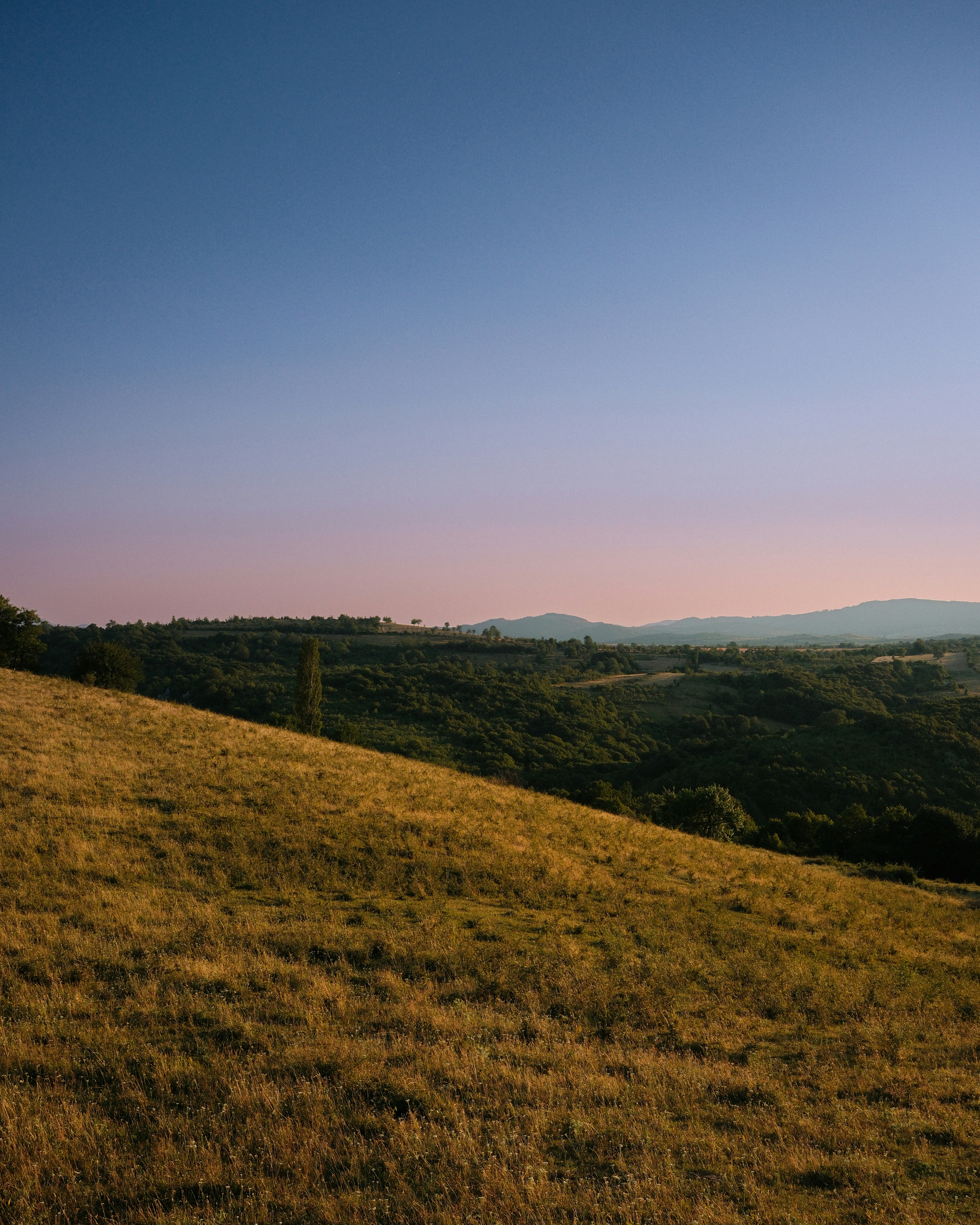 Golden Hillscape at Dusk