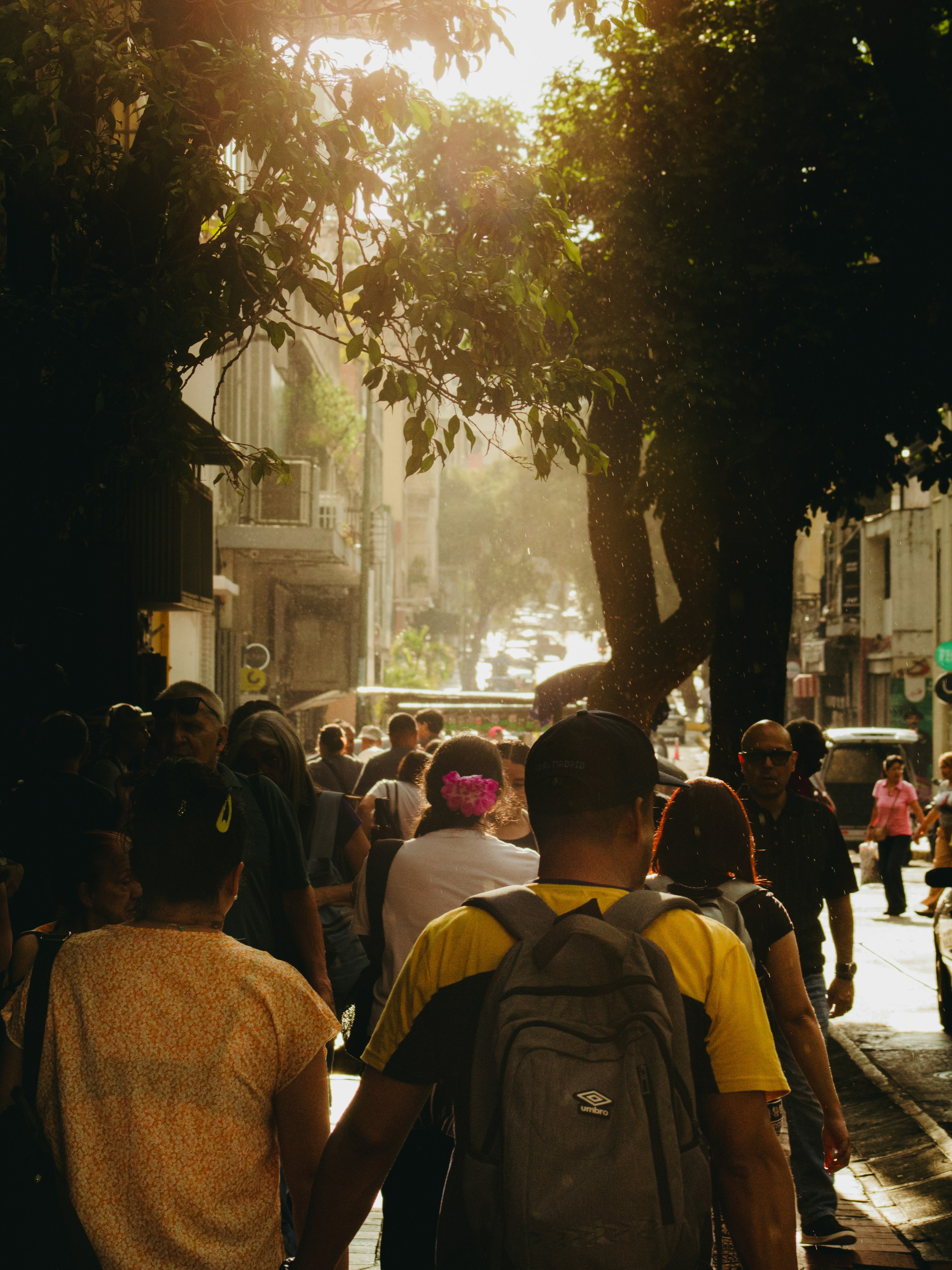 Crowd-Filled Street Finds Light Through the Canopy