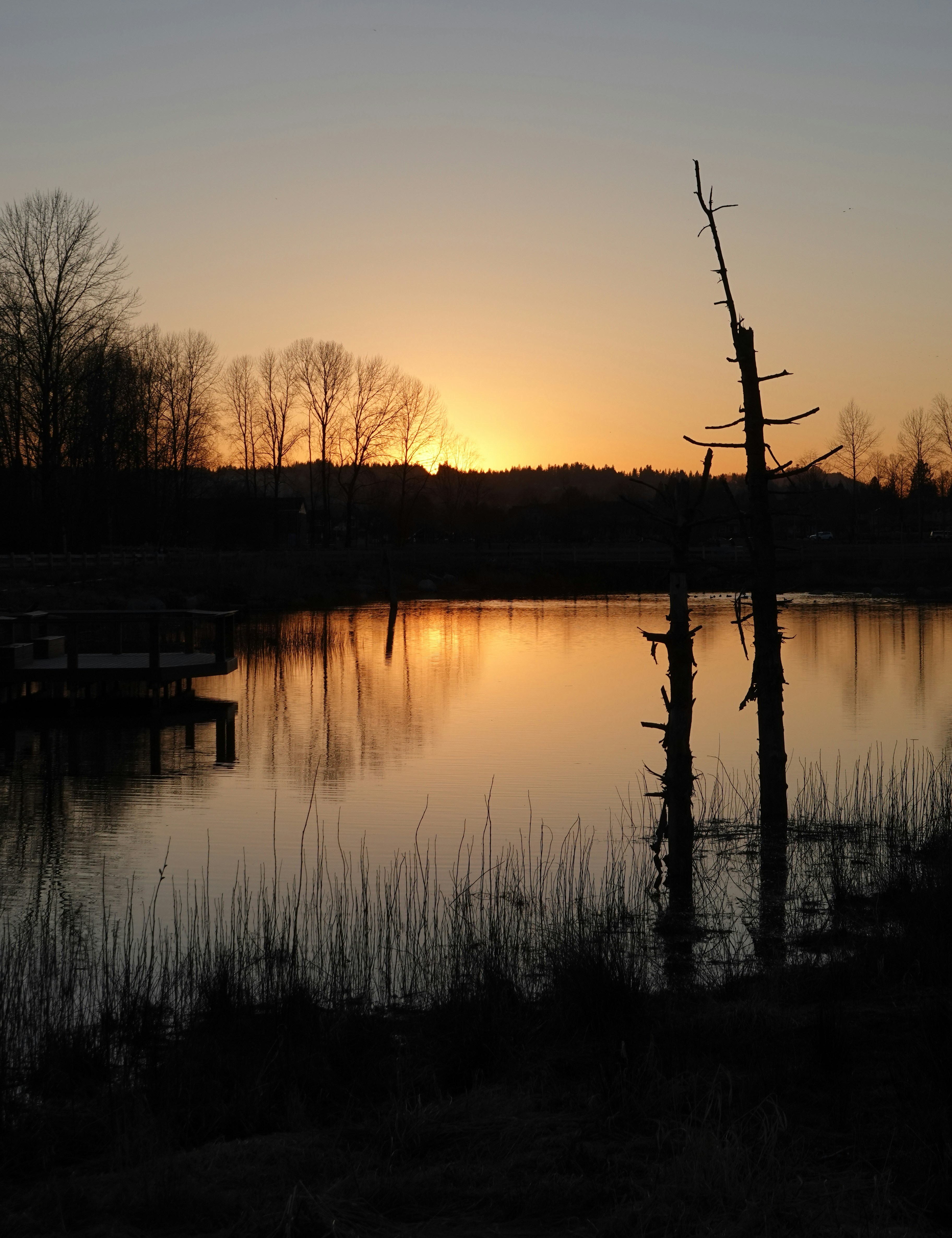 Silent Sunrise Over a Slumbering Wetland