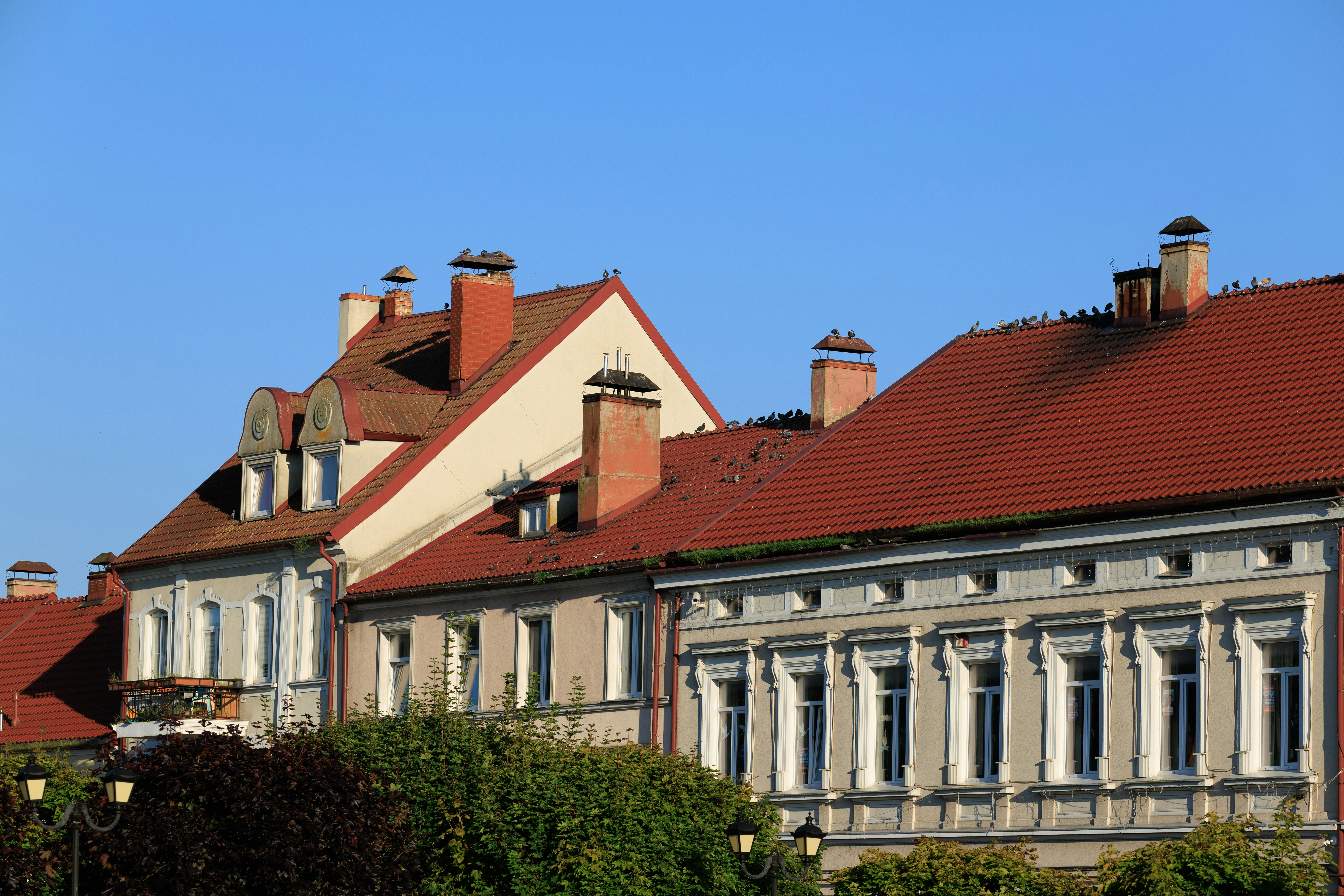 Rooftop Palette: Sunlit Facades Under a Clear Sky
