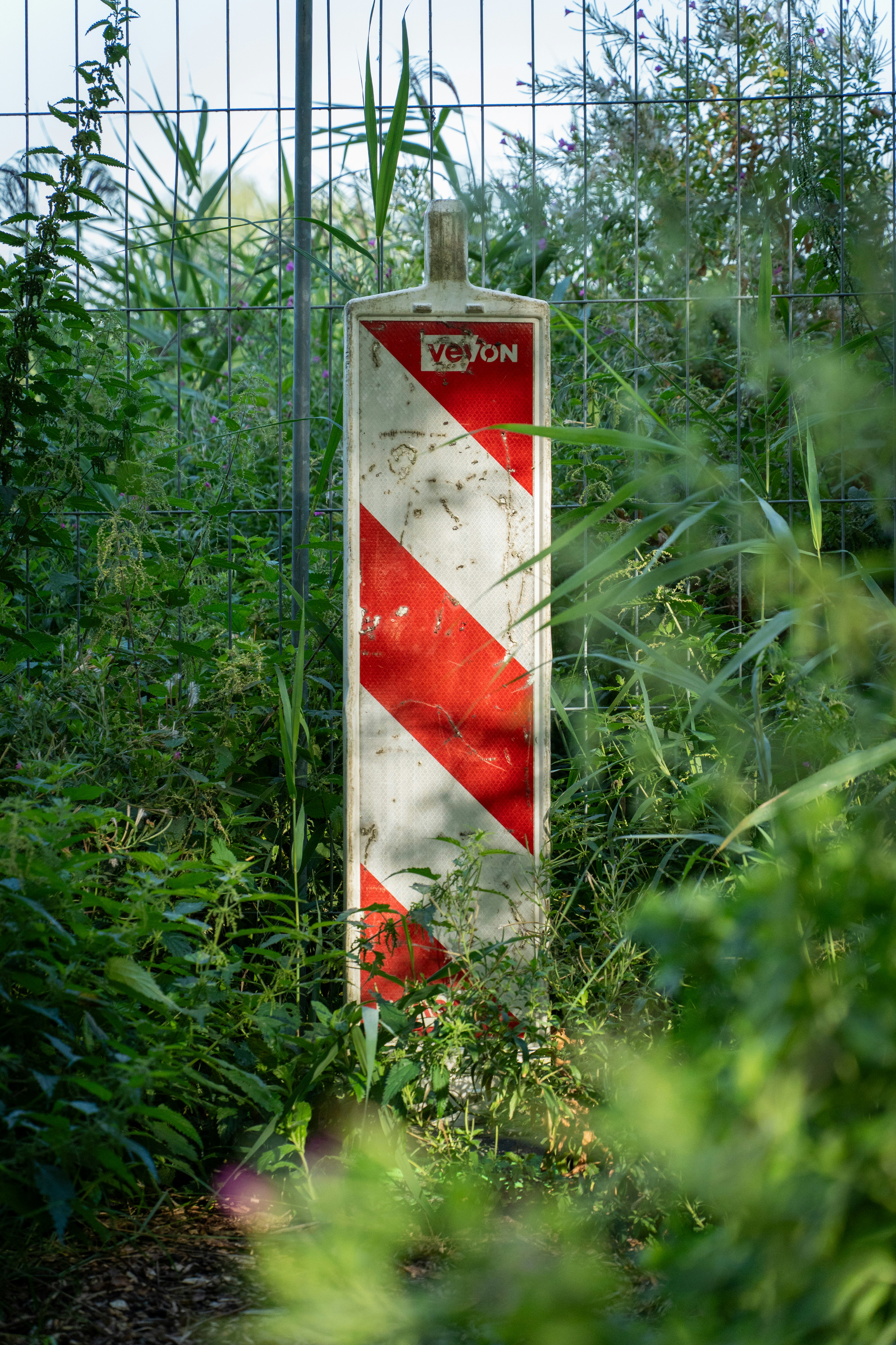 Weathered risk marker standing amidst dense vegetation; an urban obstacle reclaimed by nature, with a red-and-white diagonal pattern visible through the leafy growth.