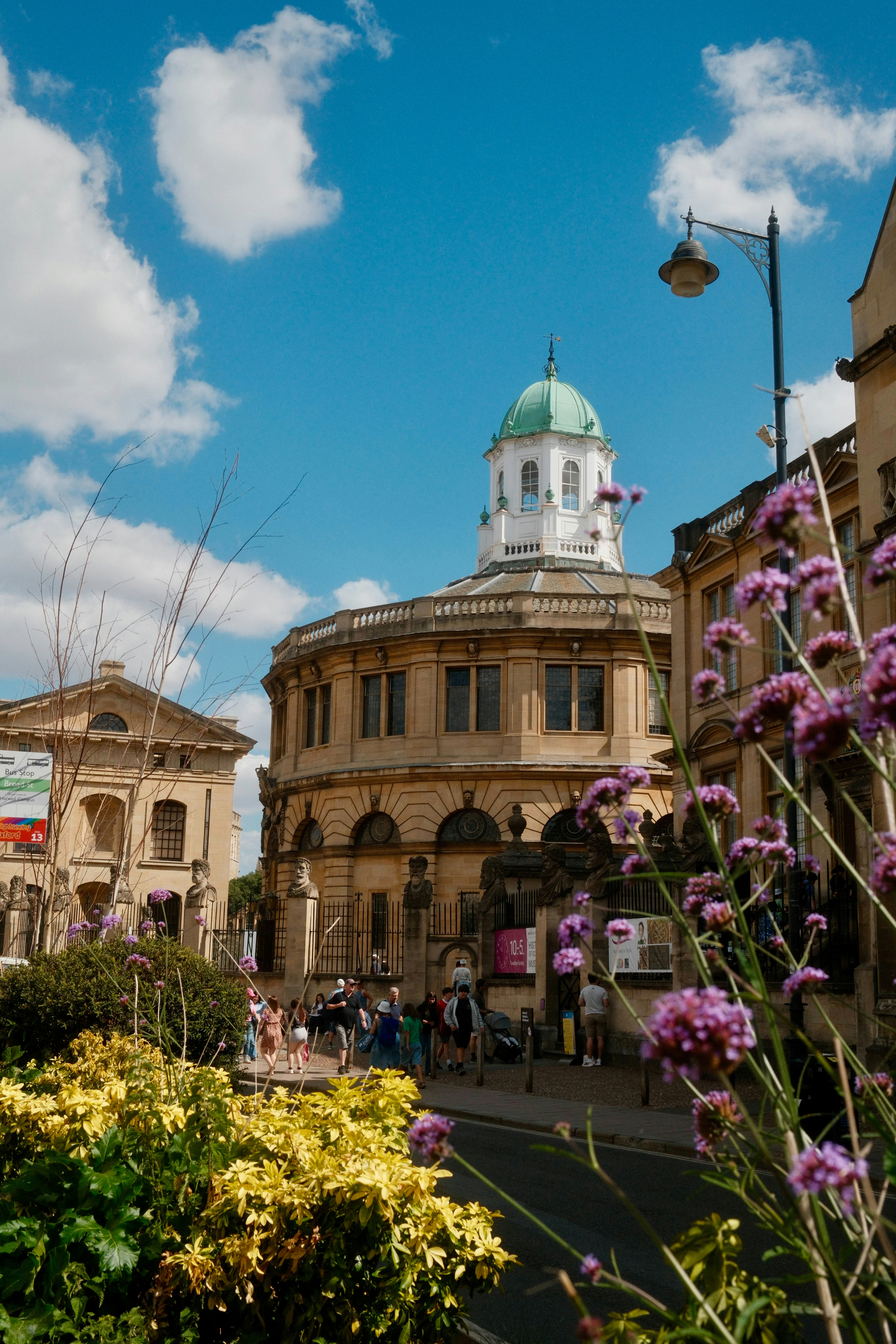 Sunlit City Hall Rising Above a Blooming Street Scene