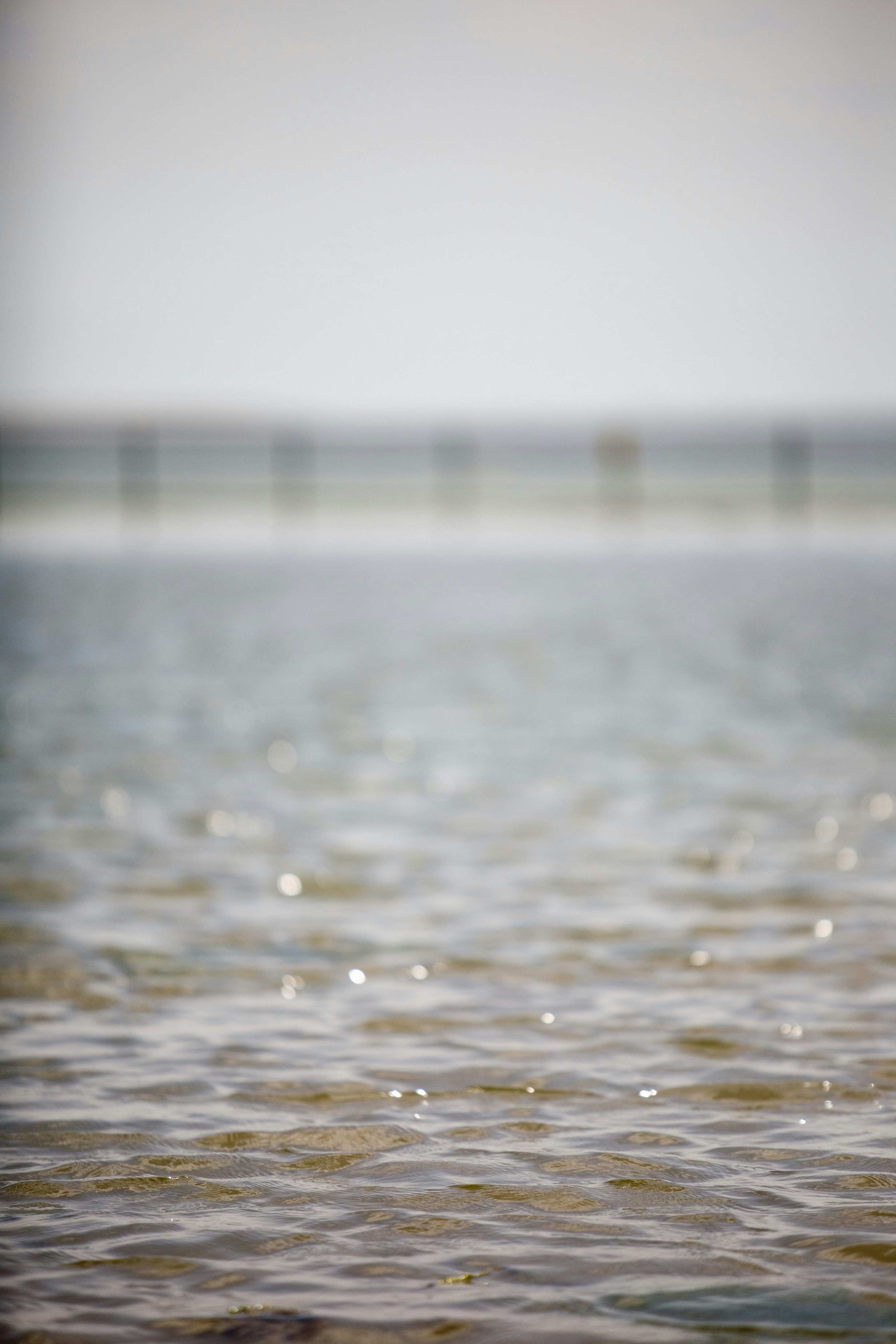 Edge of Calm: A Shimmering Shoreline in Soft Focus