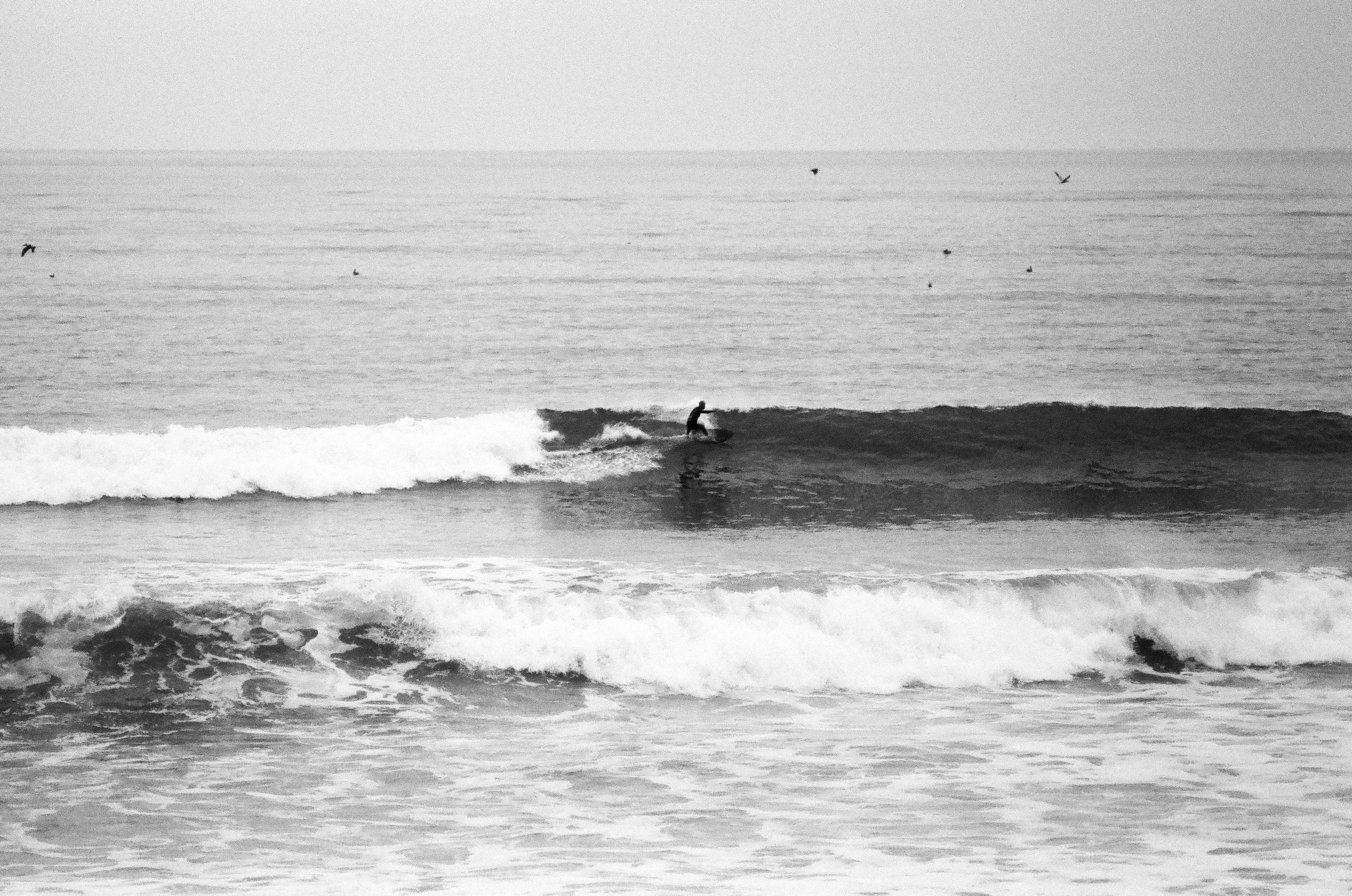 Monochrome seascape featuring a lone surfer riding a gentle ocean swell with distant birds above and a calm horizon. A minimalist composition emphasizing rhythm of waves and negative space.
