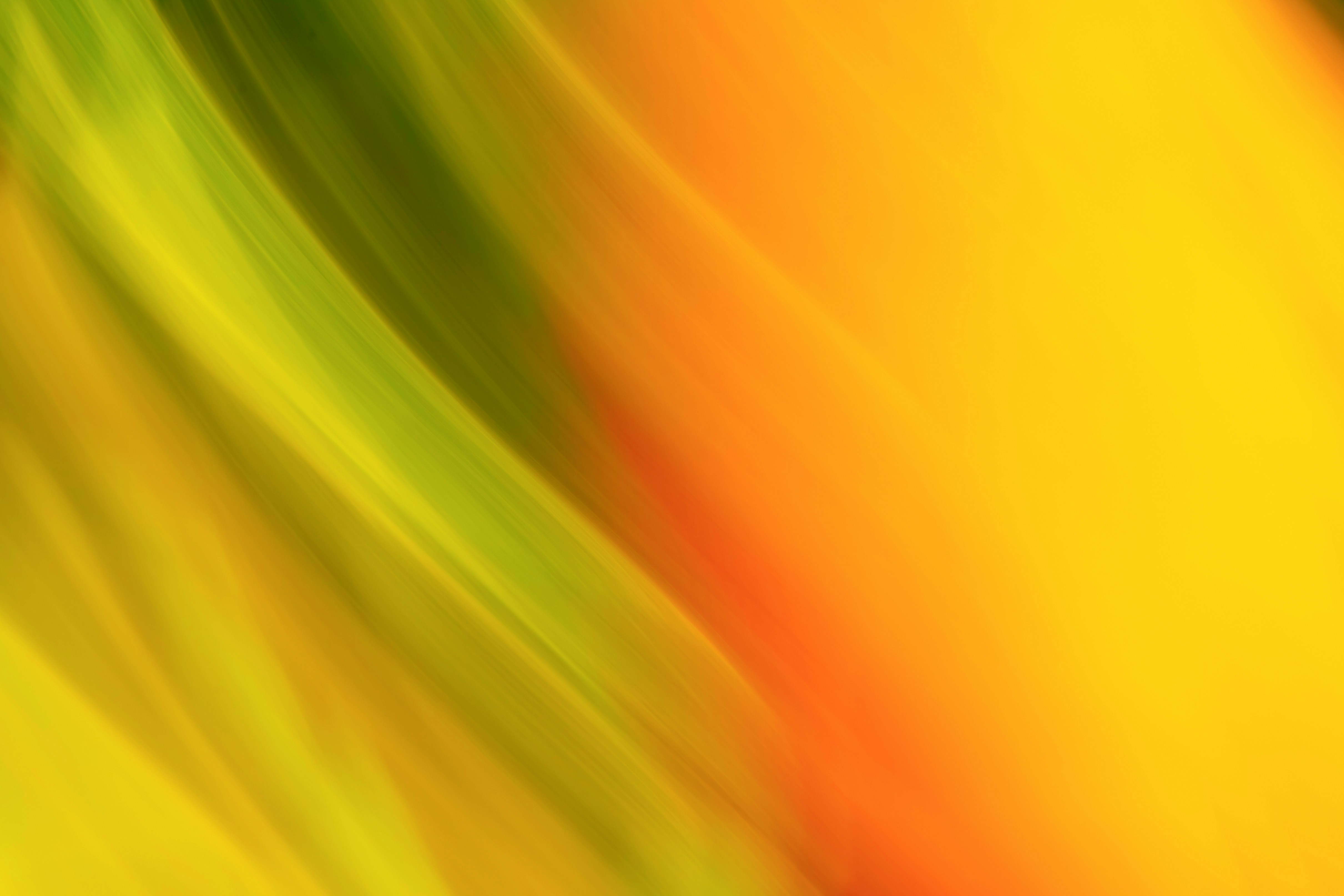 Vivid Motion: a swirl of color and light