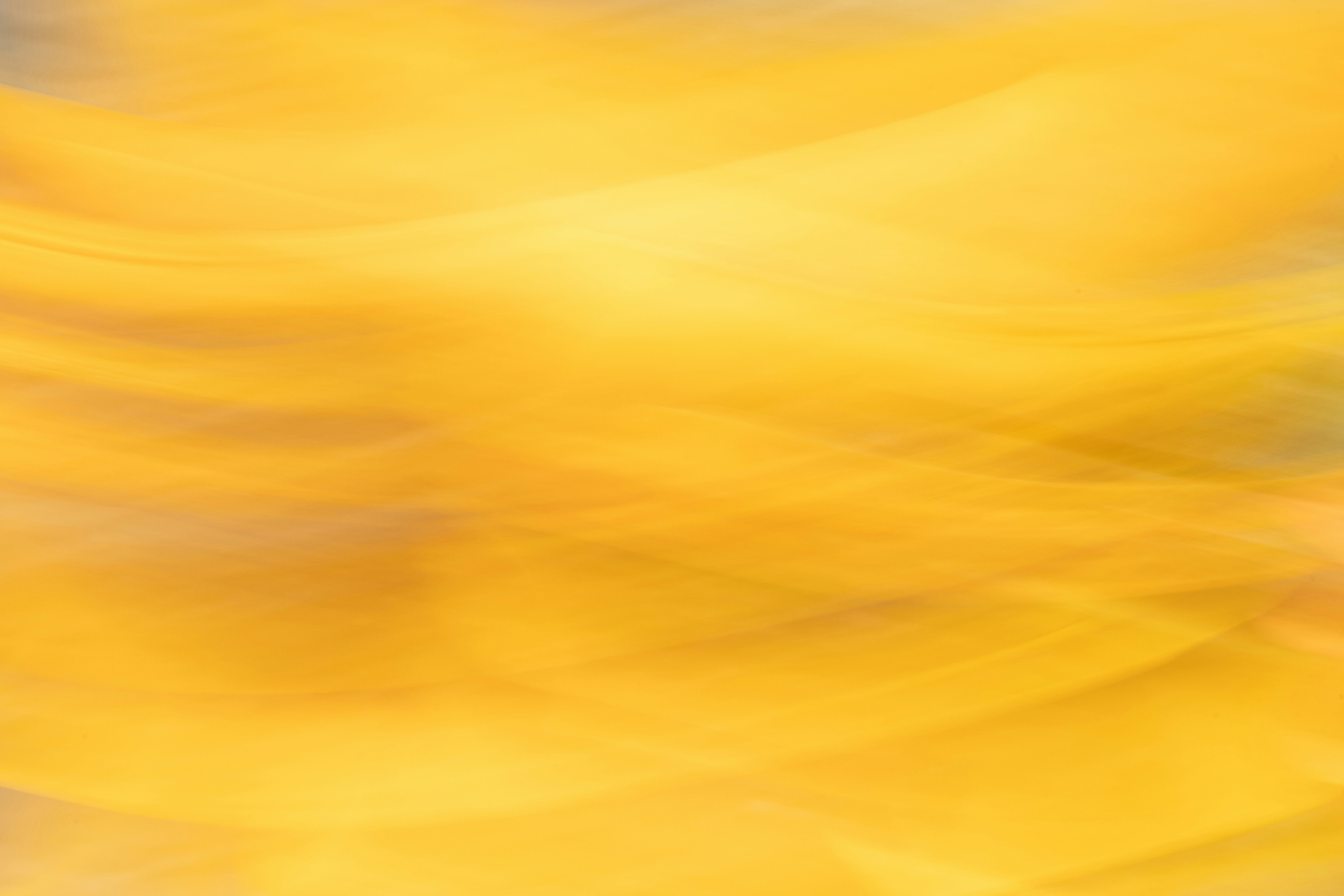 A Wave of Honeyed Light: Abstract Blur in Golden Tushes