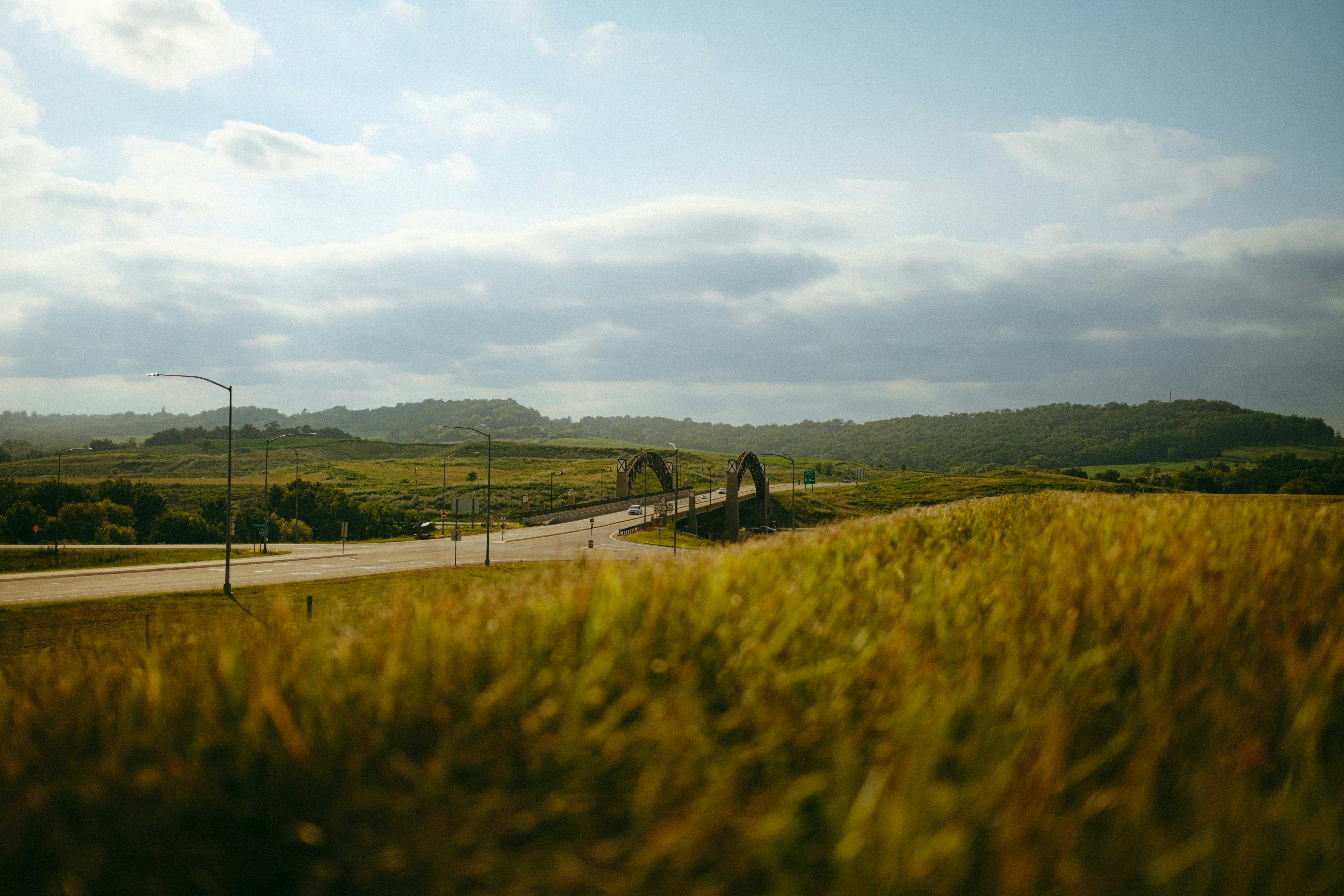 Ridge Road Crossing: Golden Field under a Quiet Sky