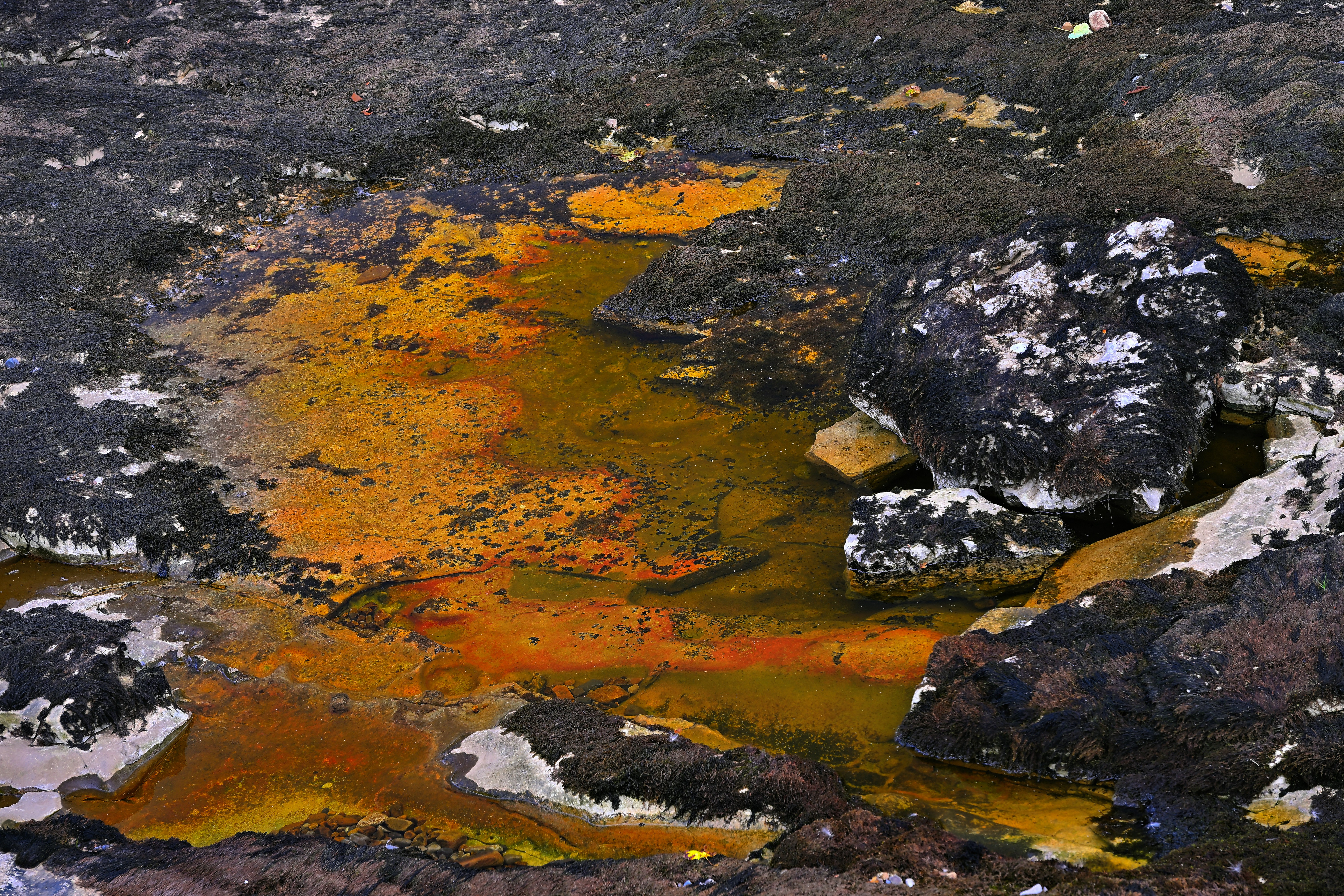 Lava-tinged Pool Among Charred Rocks