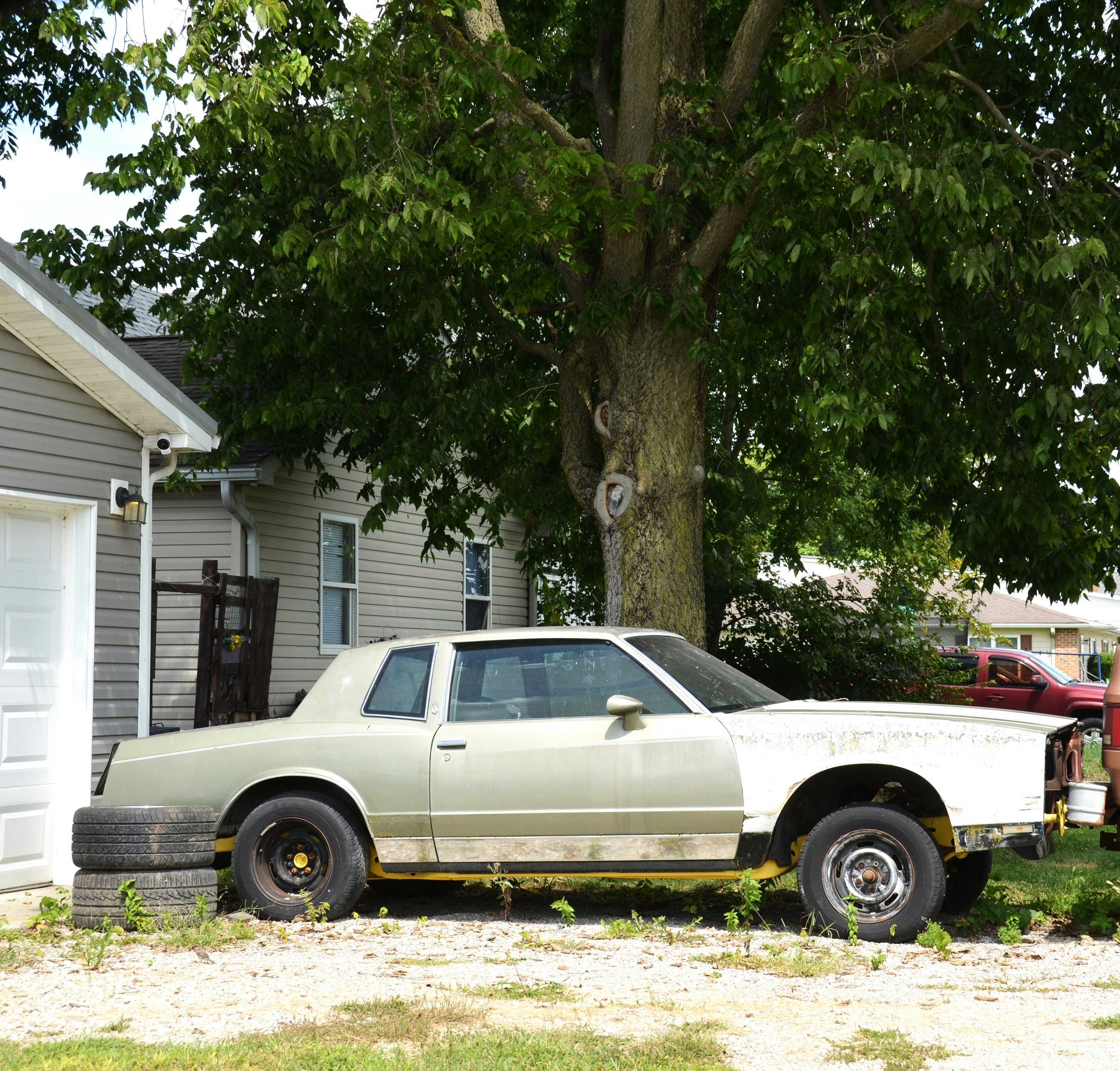 Dormant Classic: A Weathered Coupe Resting Under a Shaded Tree