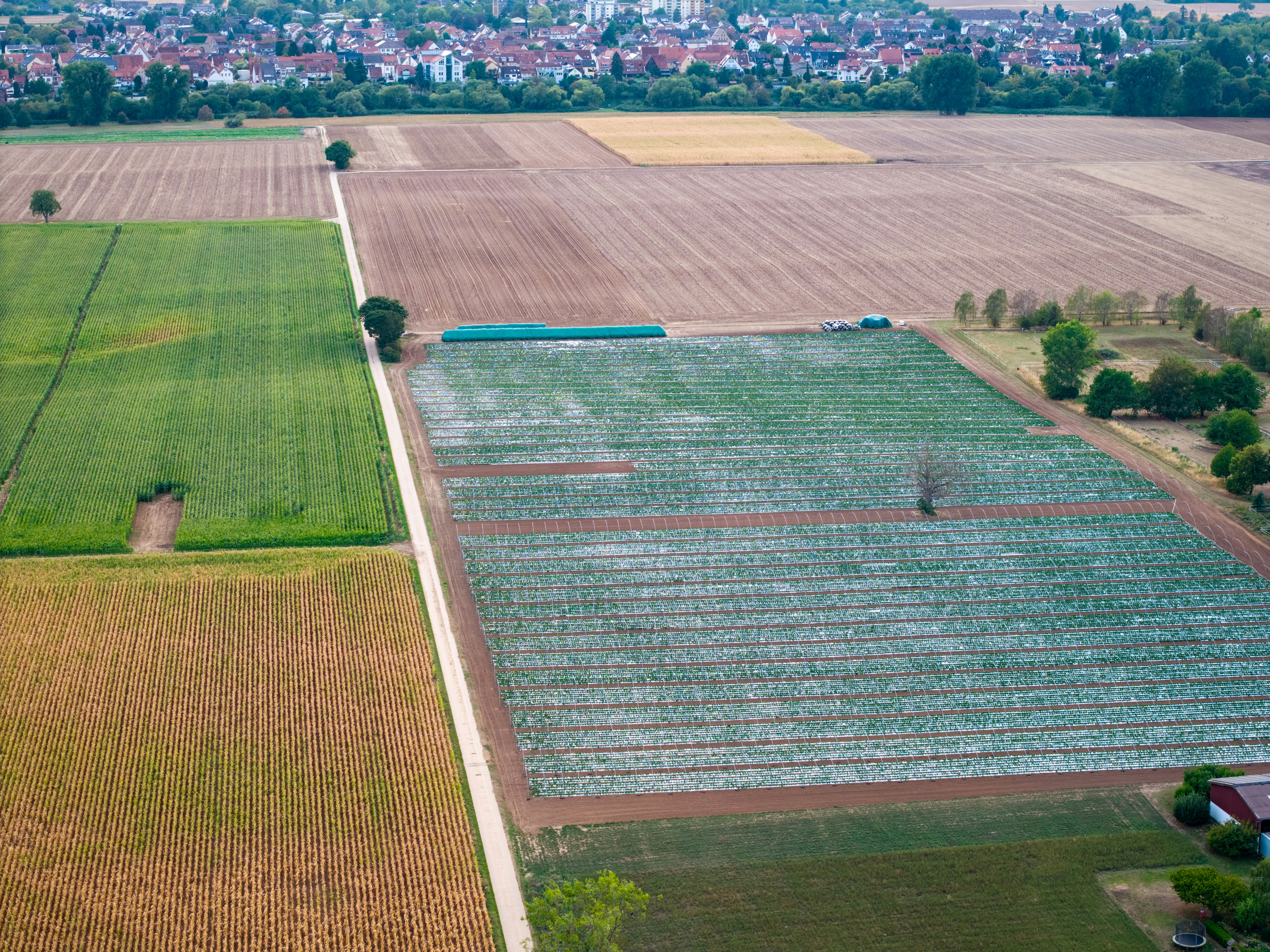 Aerial Patchwork: Green Fields, Brown Soil, and a Town’s Edge