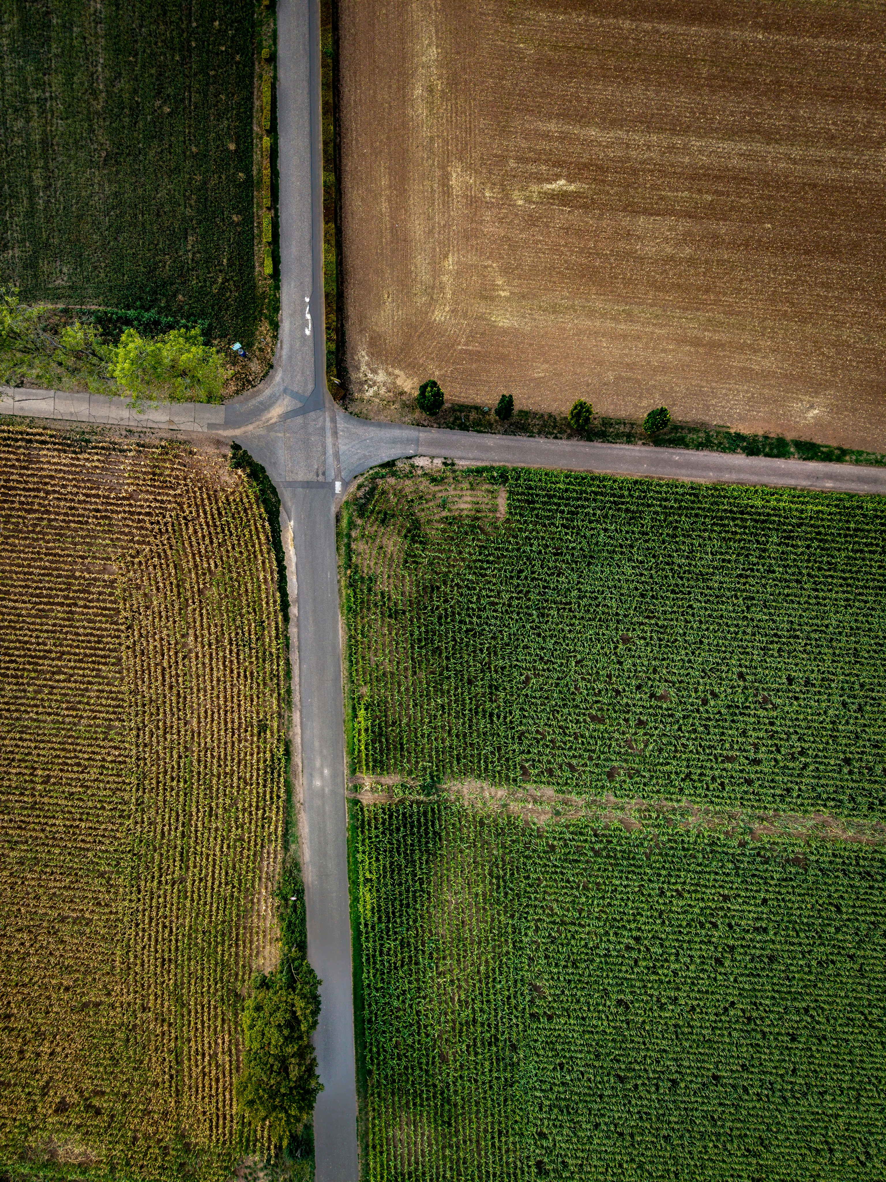 Crossroads of Fields: Aerial Grid Convergence