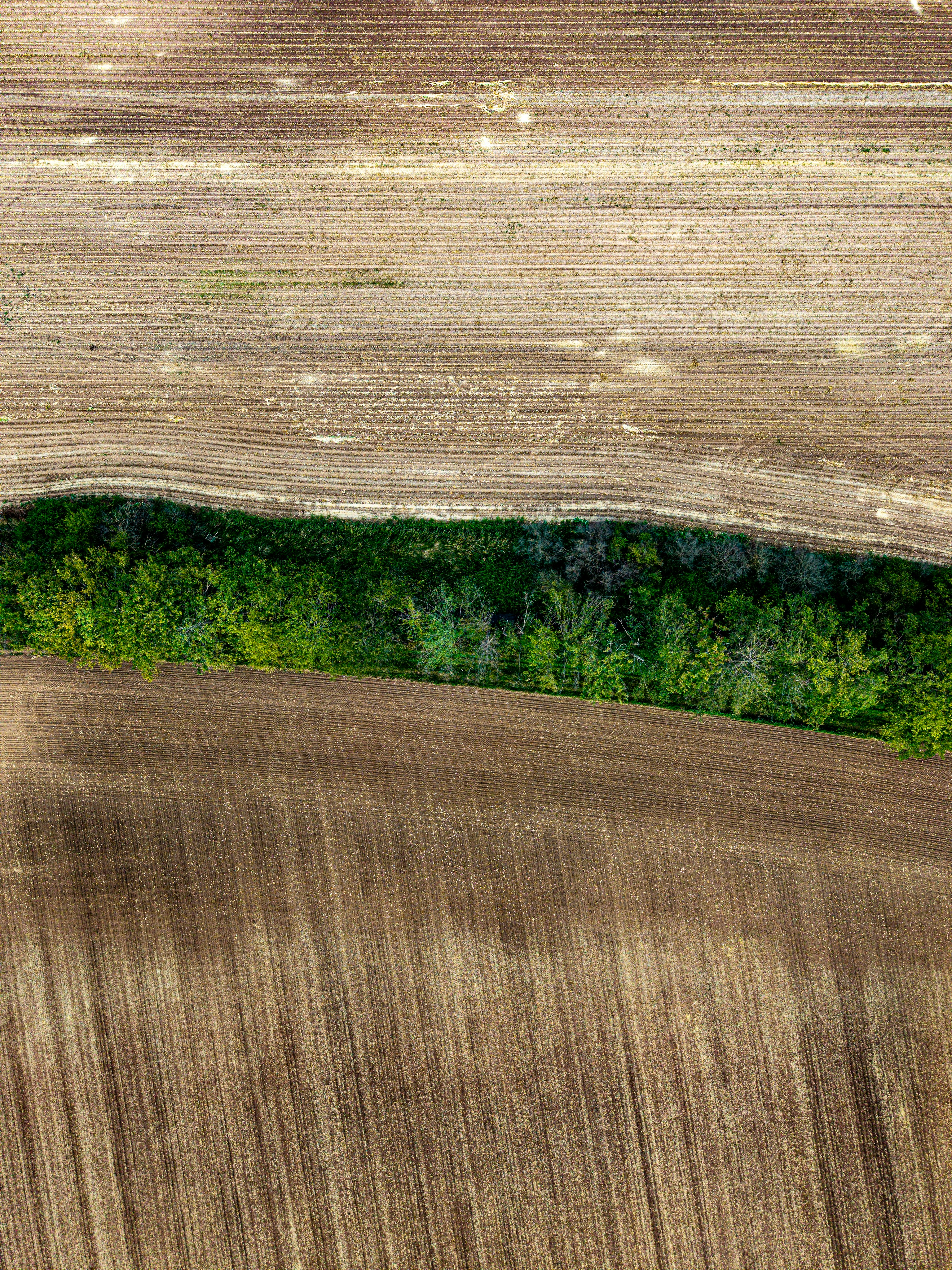 A Linear Green Ribbon Cut Through Brown Fields
