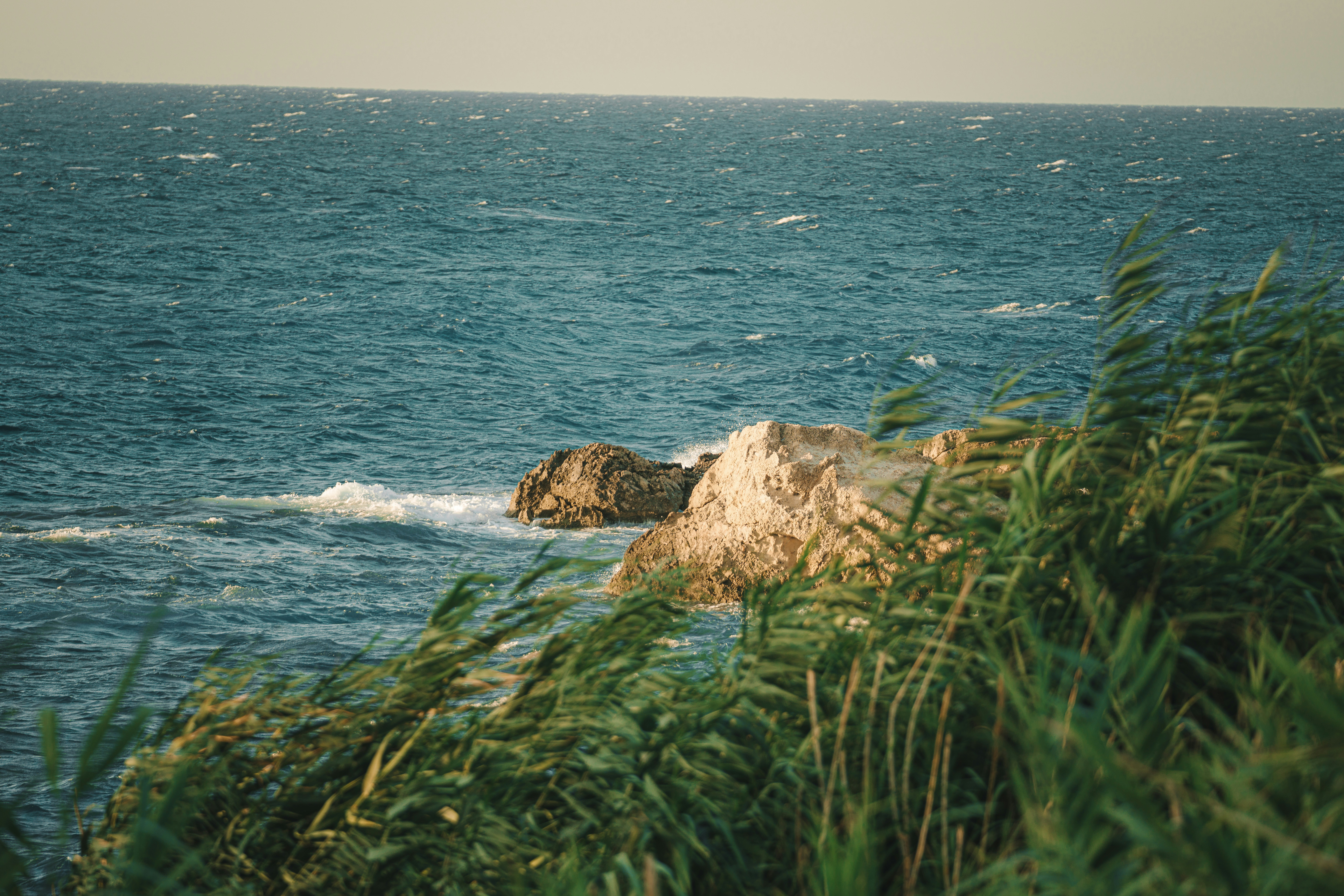 Coastal Verge: Wind-Swept Grass Framing a Rocky Breakwater