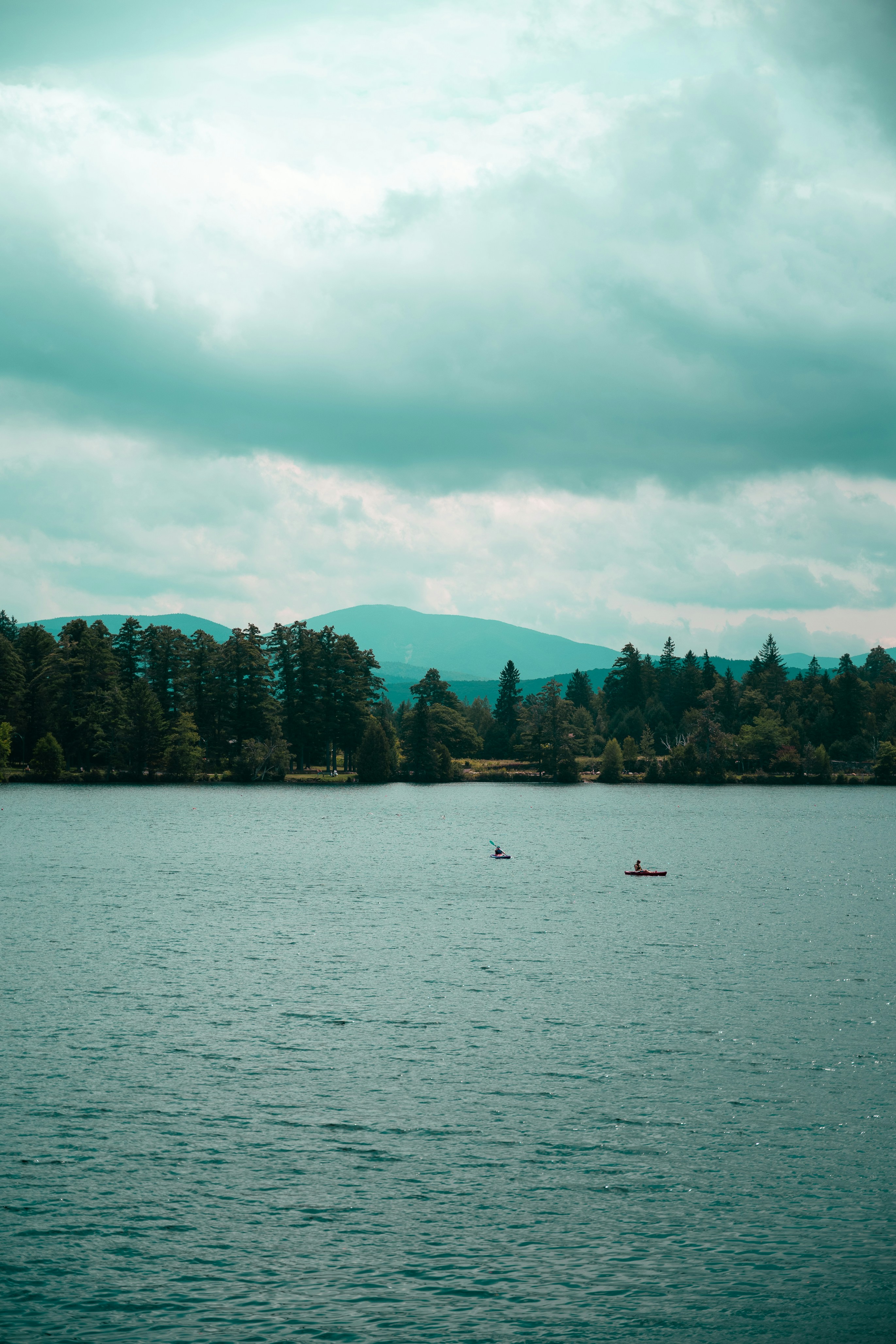 Midlake Gulls: Quiet Boats in a Mountain Lantern