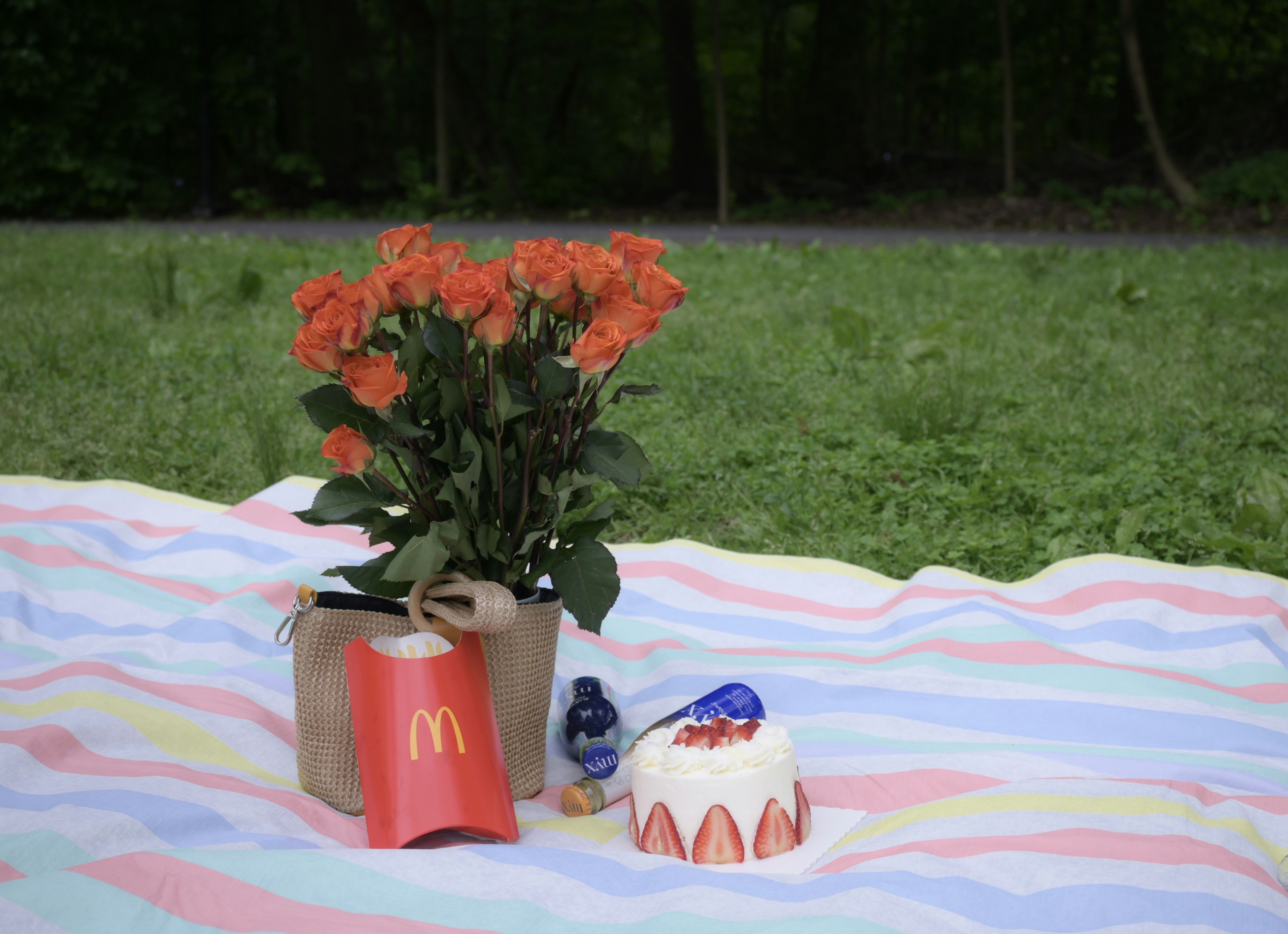 Colorful picnic setup with orange roses, a McDonald's fry container, and a small cake on a striped blanket in a park.